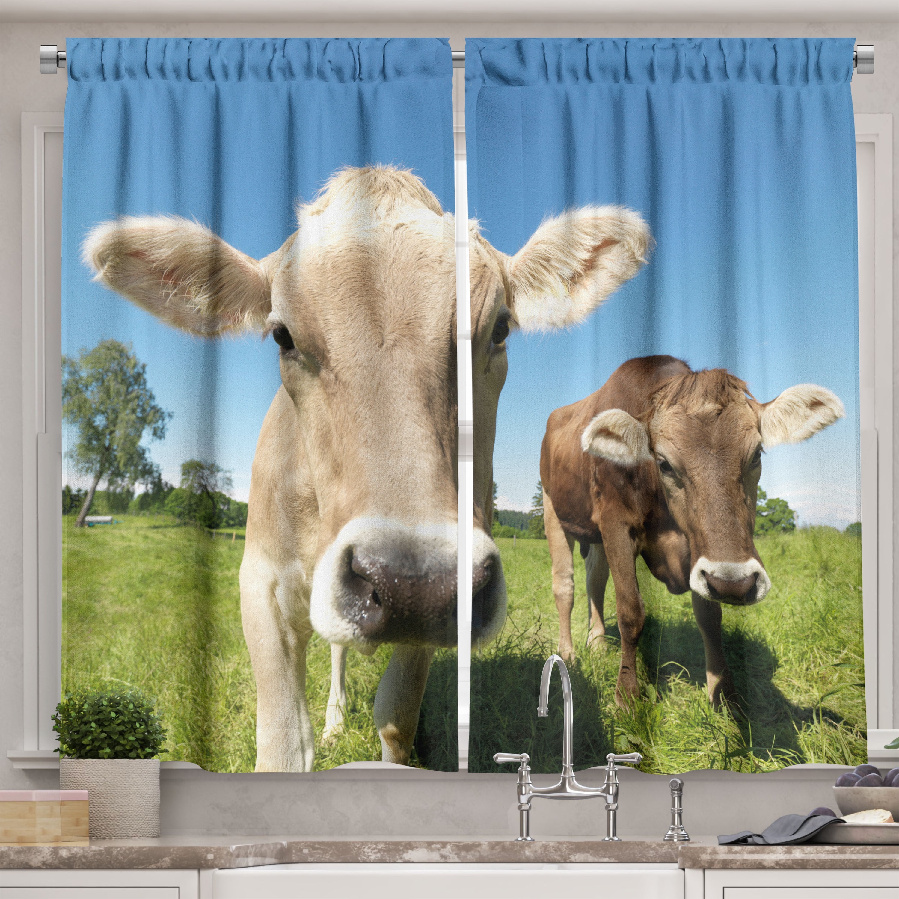 Farm Animal Curtains 2 Panels Set, Close Up Sweet Photo of Cows at ...