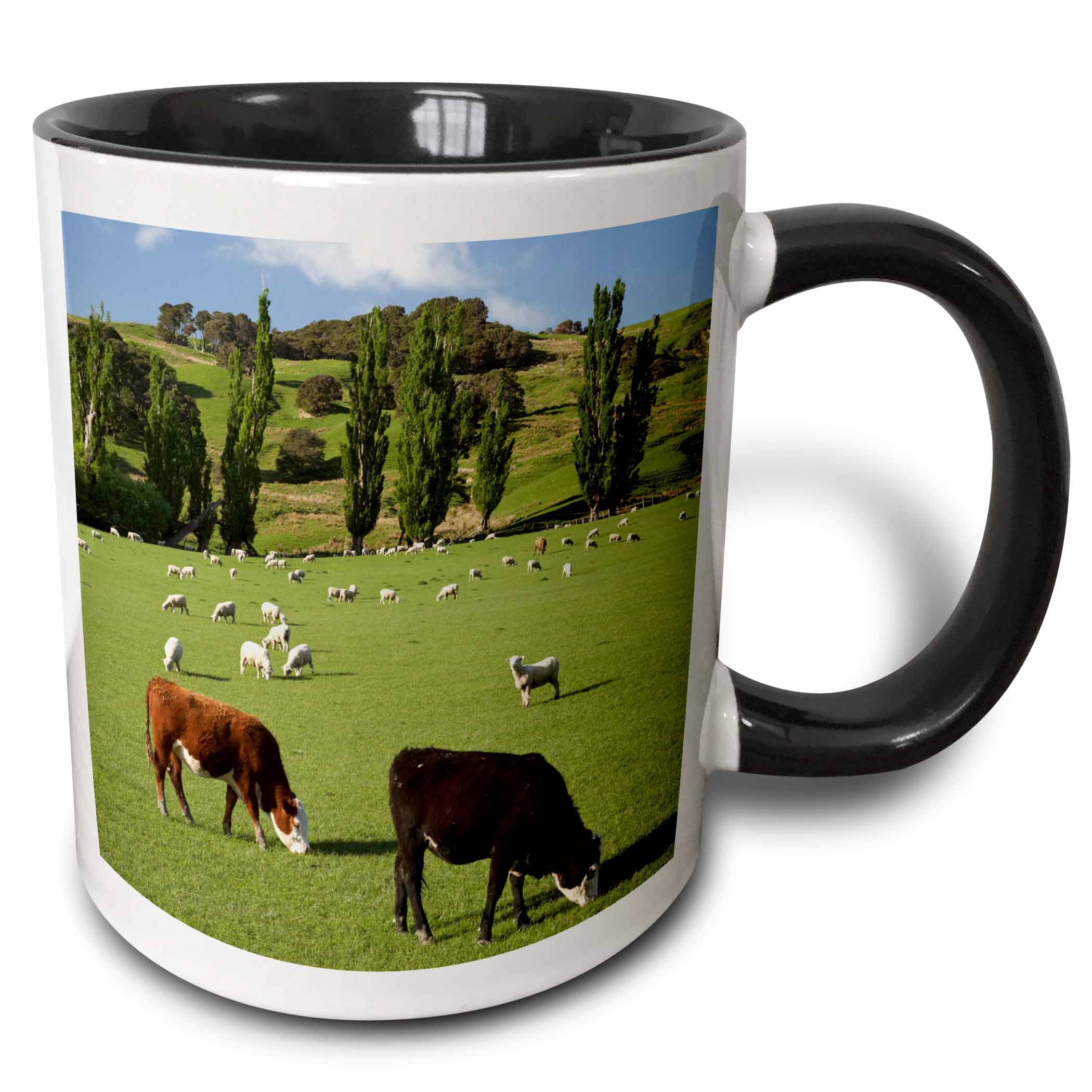 3drose, Farm Animals, Cows, Sheep, Masterton, New Zealand-au02 Dwa6395 ...
