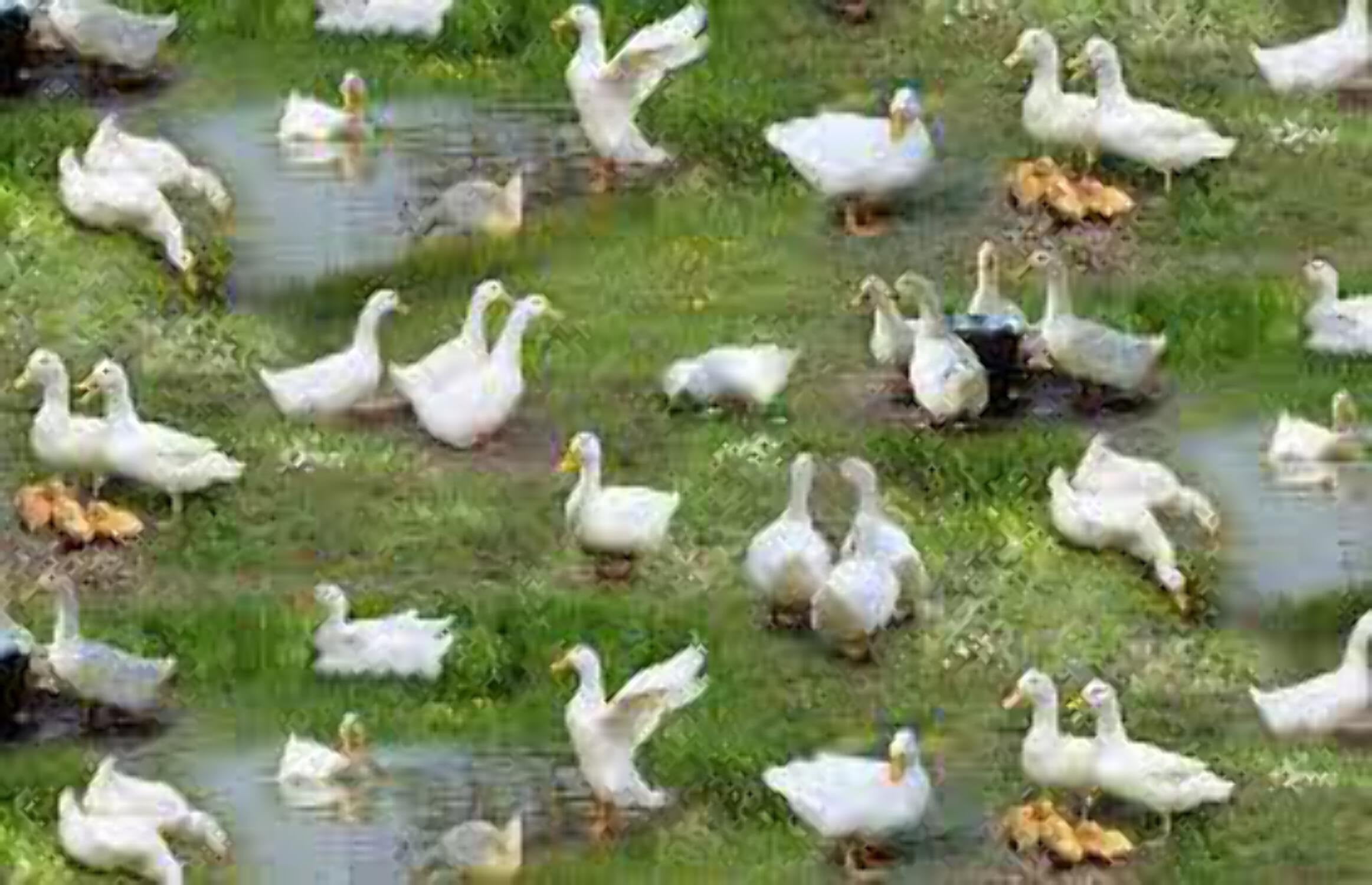 Farm Animals Ducks 43/44"W Cotton Fabric - Walmart.com