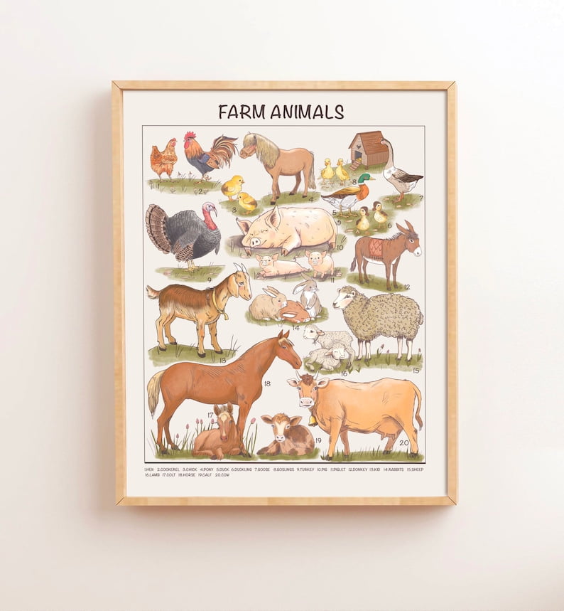 Farm Animals Educational Poster Homeschool Preschool Printable ...