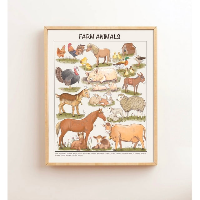 Farm Animals Educational Poster Homeschool Preschool Printable ...
