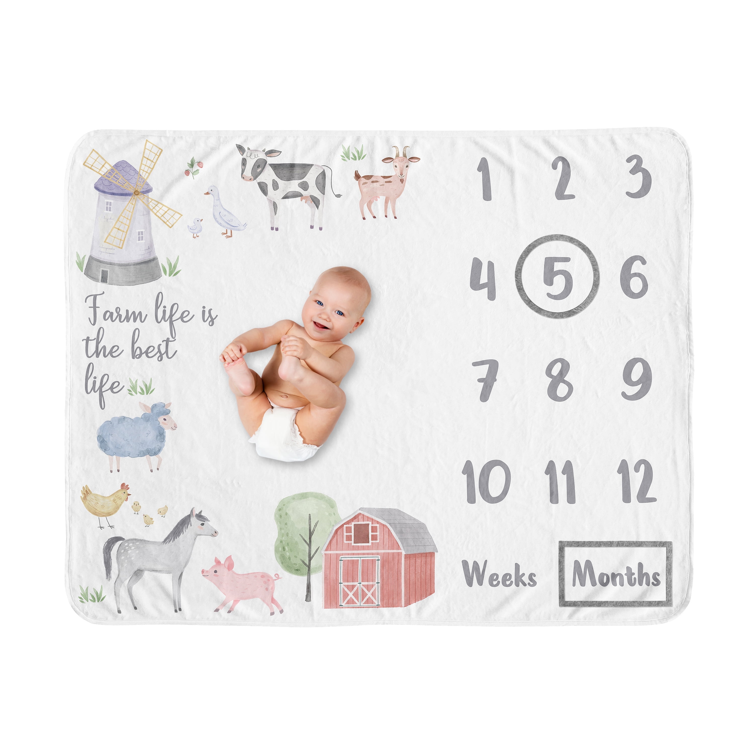 Sweet Jojo Designs Farm Animals Milestone Baby Blanket, Cow Themed ...