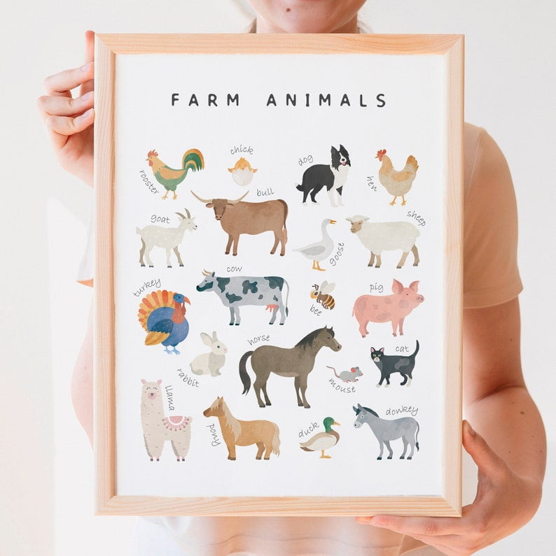 Farm Animals Poster, Educational Poster, Nursery Wall Decor, Playroom ...