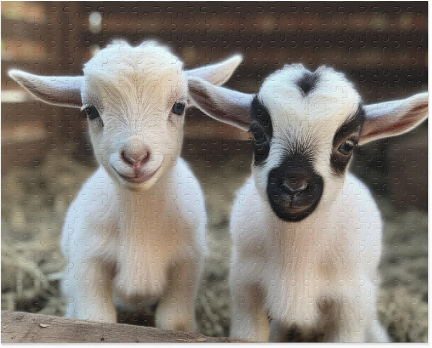 Farm Baby Goats Jigsaw Puzzle for Adults - Wooden Puzzle 500 Piece ...