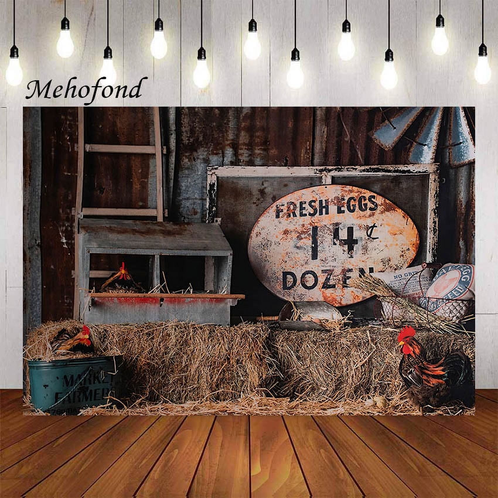 Farm Barn Haystack Chicken Kids Birthday Party Portrait ration Backdrop ...