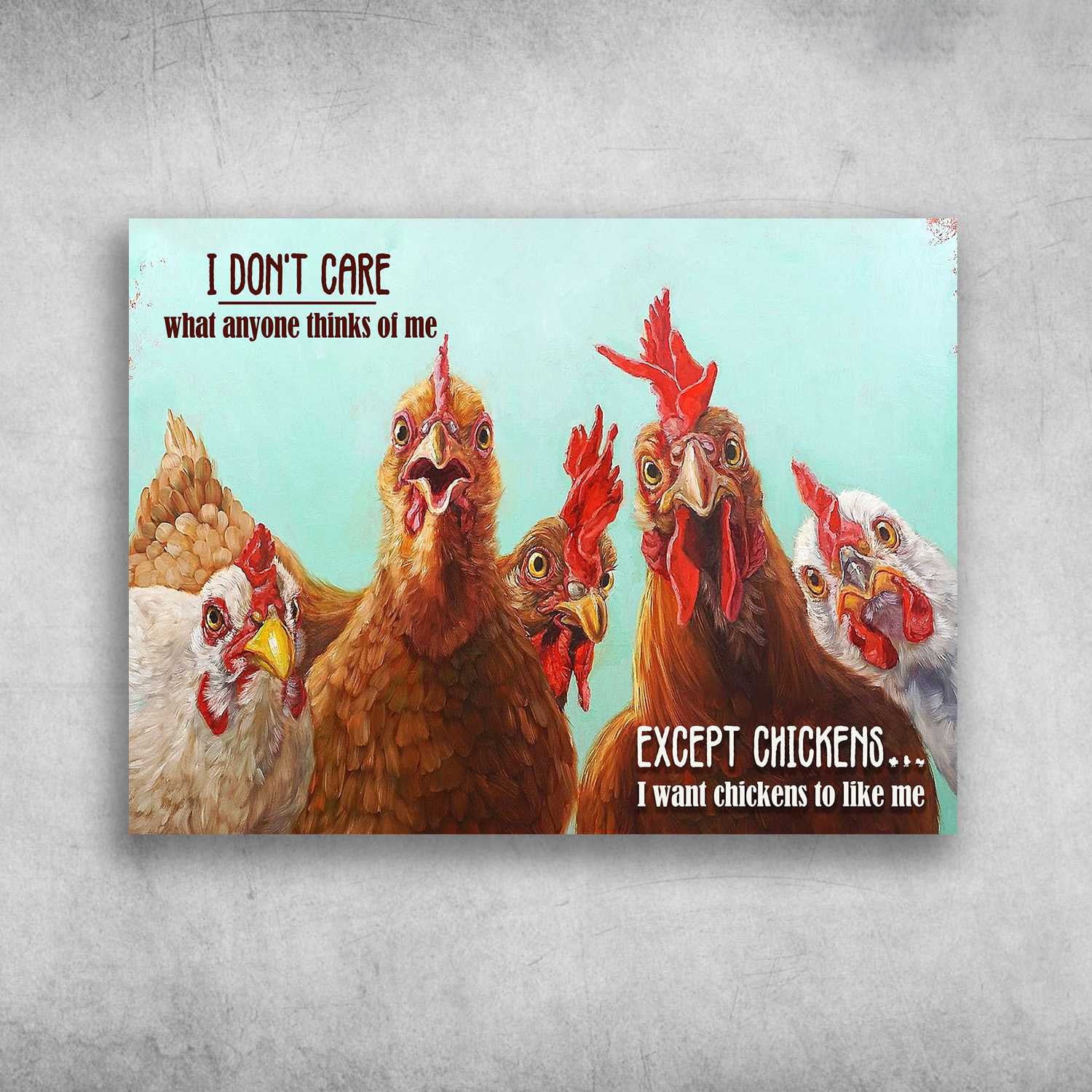 Farm Chicken - I Don't Care, What Anyone Thinks Of Me, Except Chickens ...