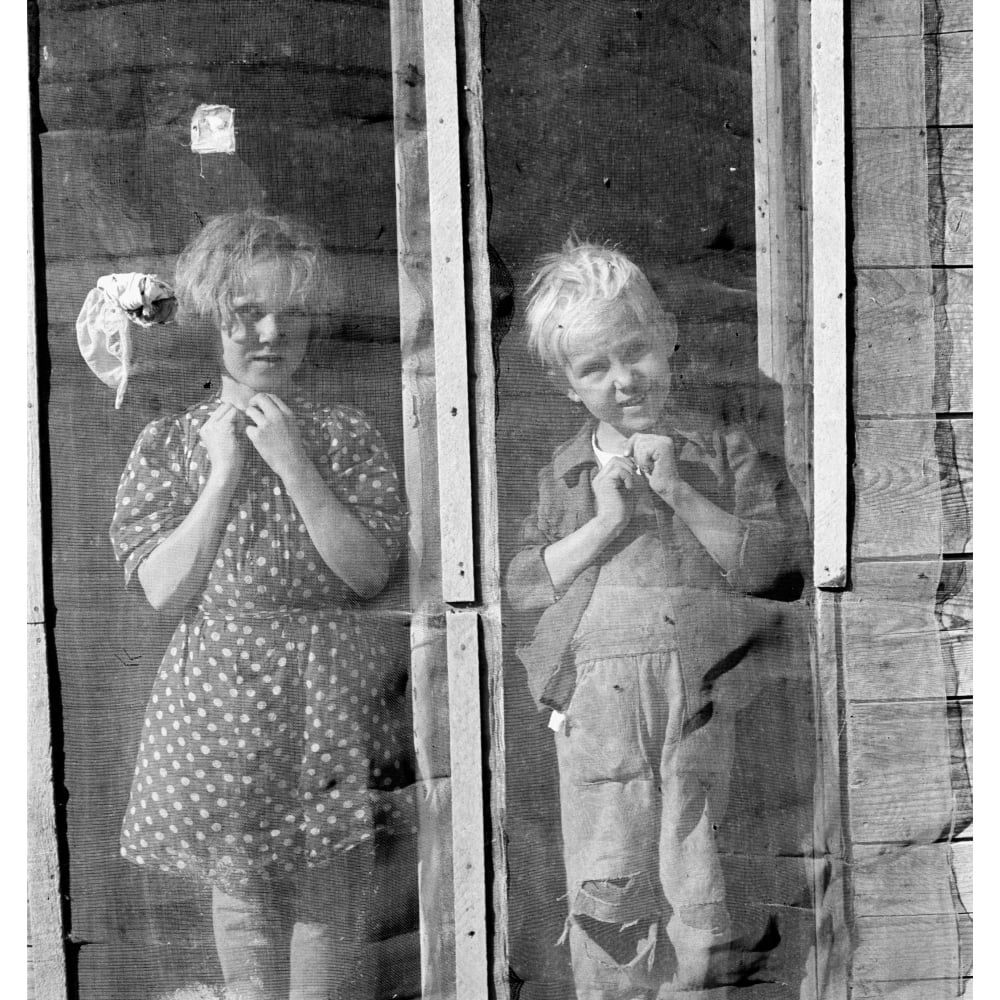 Farm Children 1939. Na Sister And Brother Standing Behind A Screen Door ...
