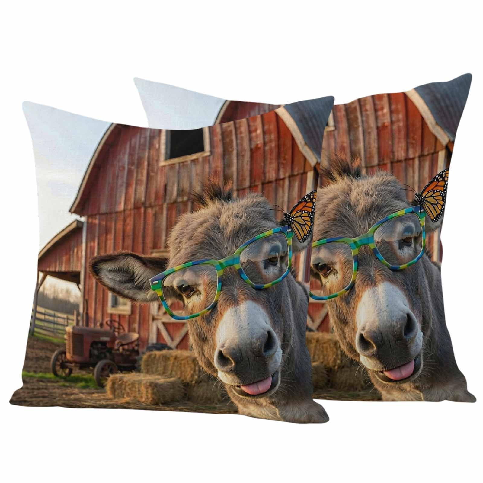 Farm Donkeys Outdoor Waterproof Pillow Covers, Farmhouse Barn Funny ...