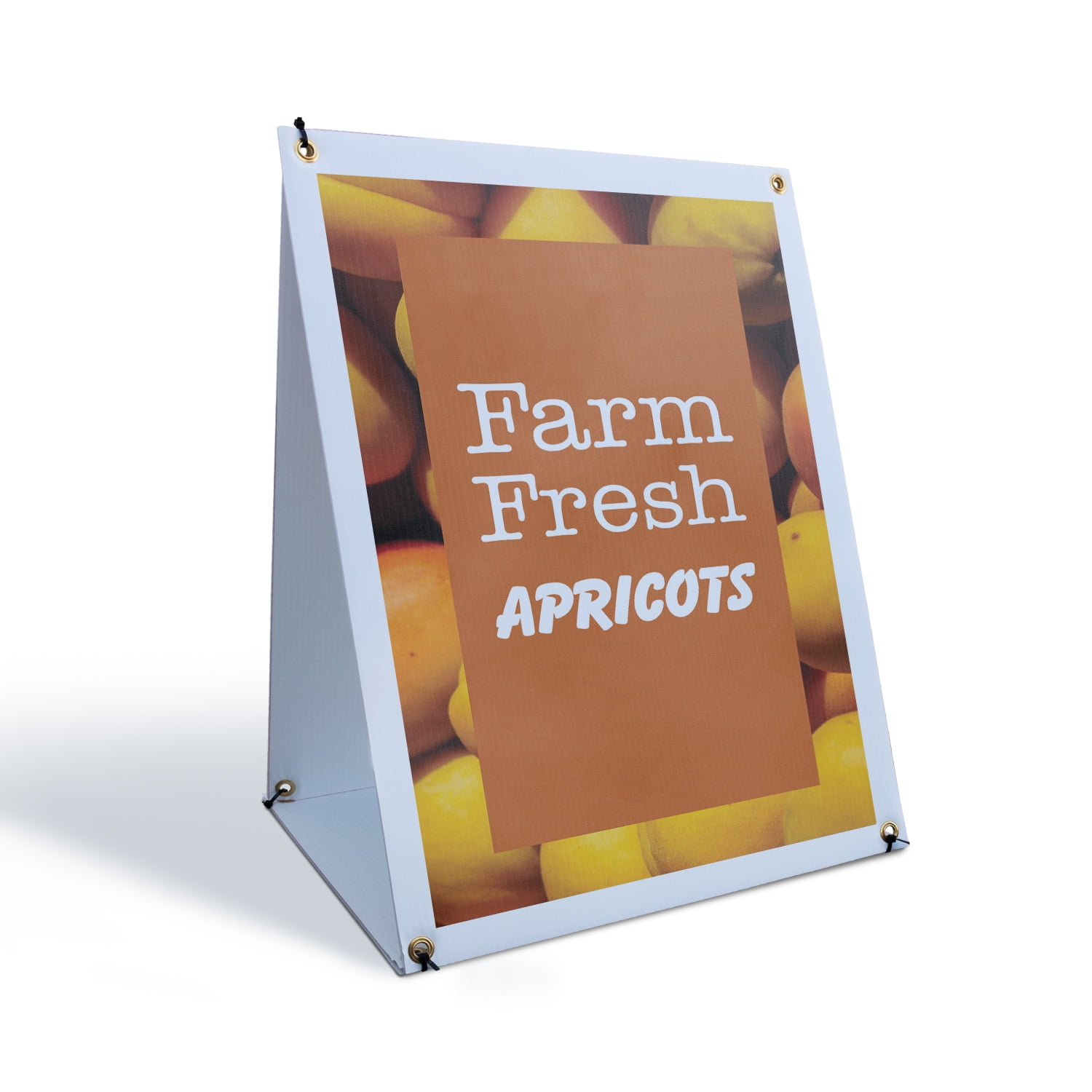 Farm Fresh Apricots Sidewalk Sign 24 Inch x 36 Inch A-Frame Images On ...