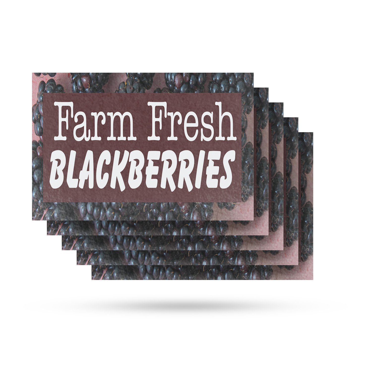 Farm Fresh Blackberries Vinyl Decal 5 Pack of 18 Inch x 24 Inch ...