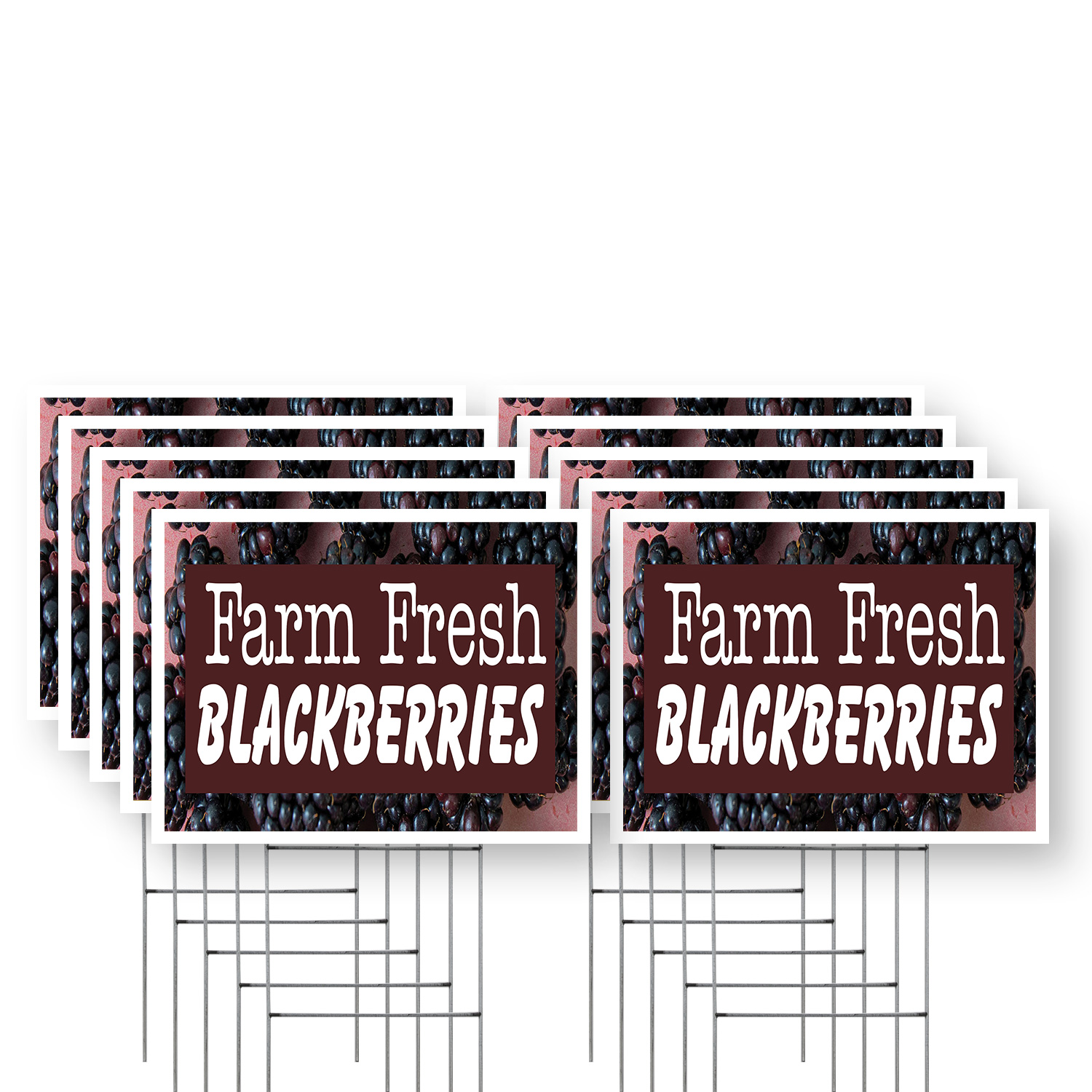 Farm Fresh Blackberries Yard Sign 10 Pack of 12 Inch x 16 Inch Double ...