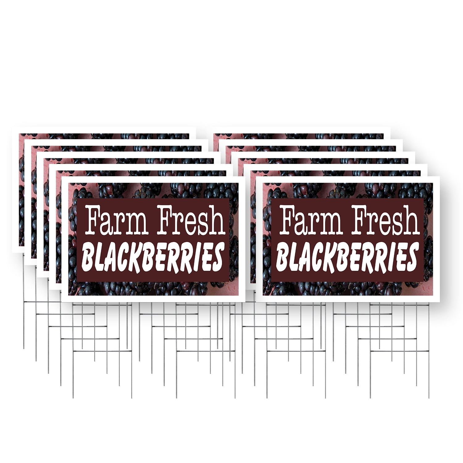 Farm Fresh Blackberries Yard Sign 10 Pack of 24 Inch x 36 Inch Double ...