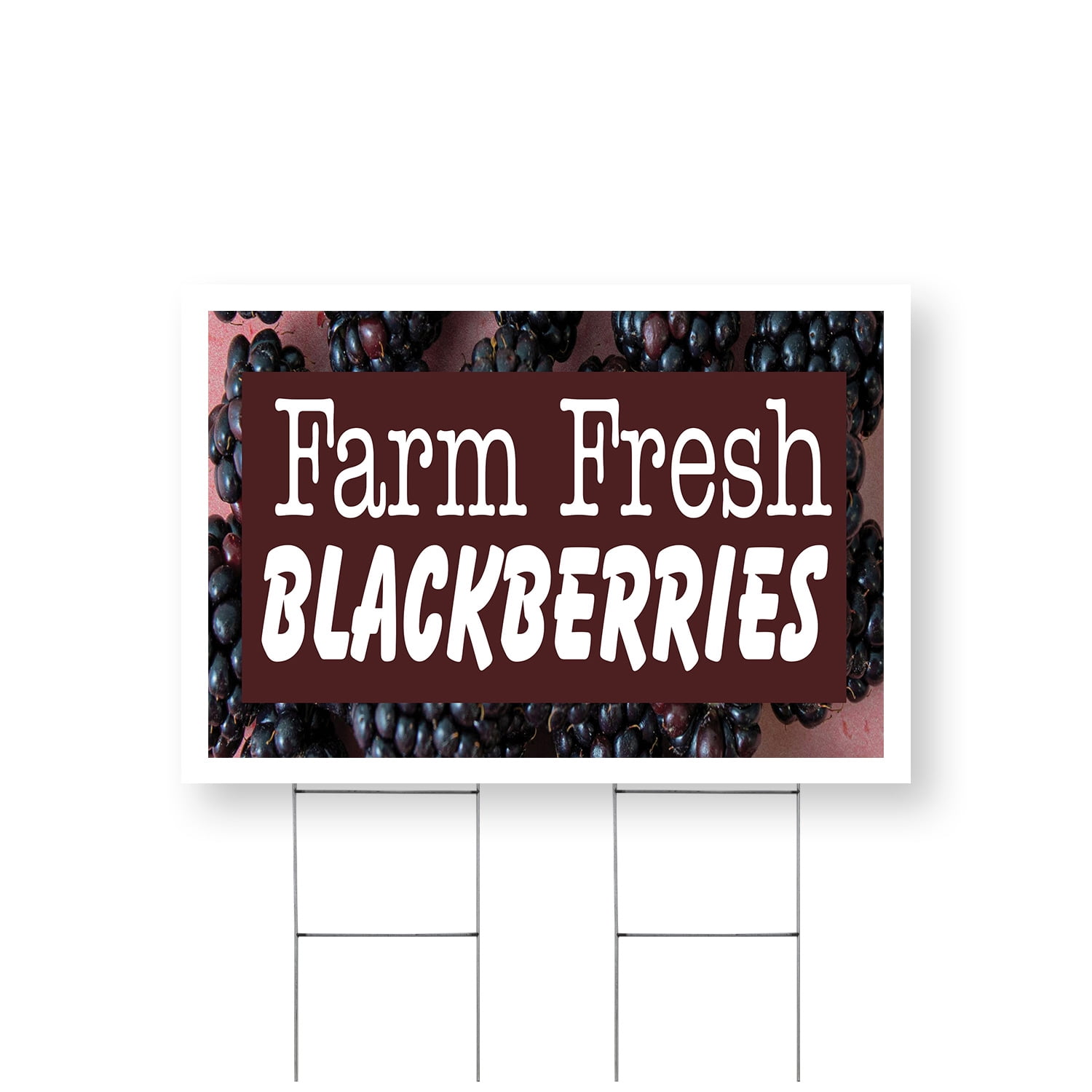 Farm Fresh Blackberries Yard Sign 24 Inch x 36 Inch Single Sided ...