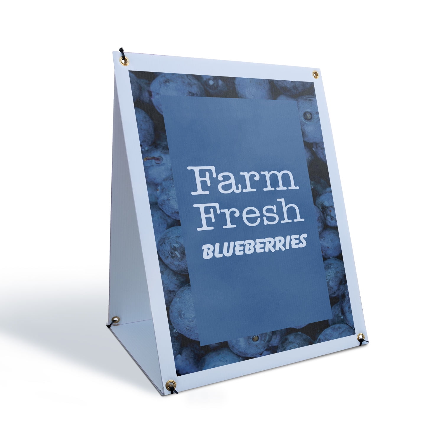 Farm Fresh Blueberries Sidewalk Sign 24 Inch x 36 Inch A-Frame Images ...