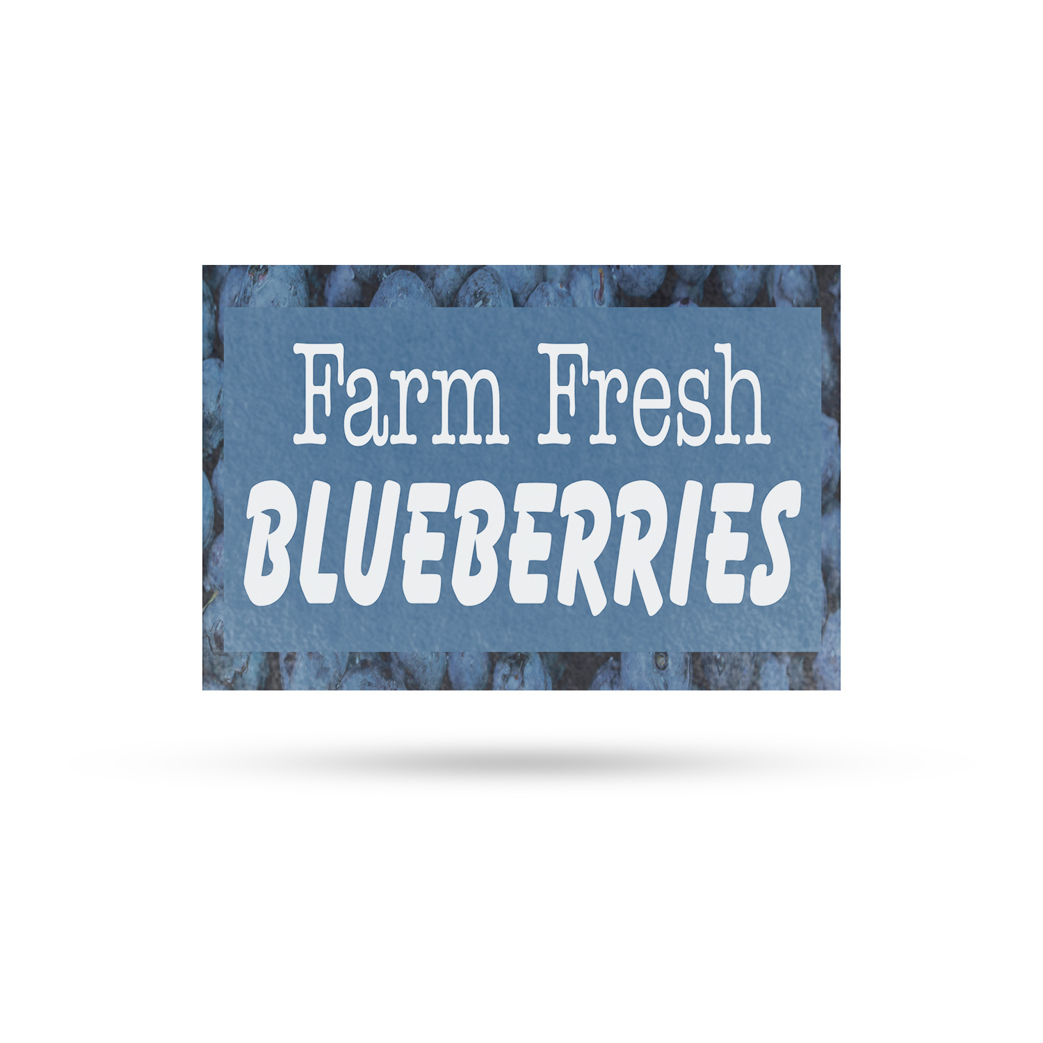 Farm Fresh Blueberries Vinyl Decal 24 Inch x 36 Inch Weatherproof Heavy ...