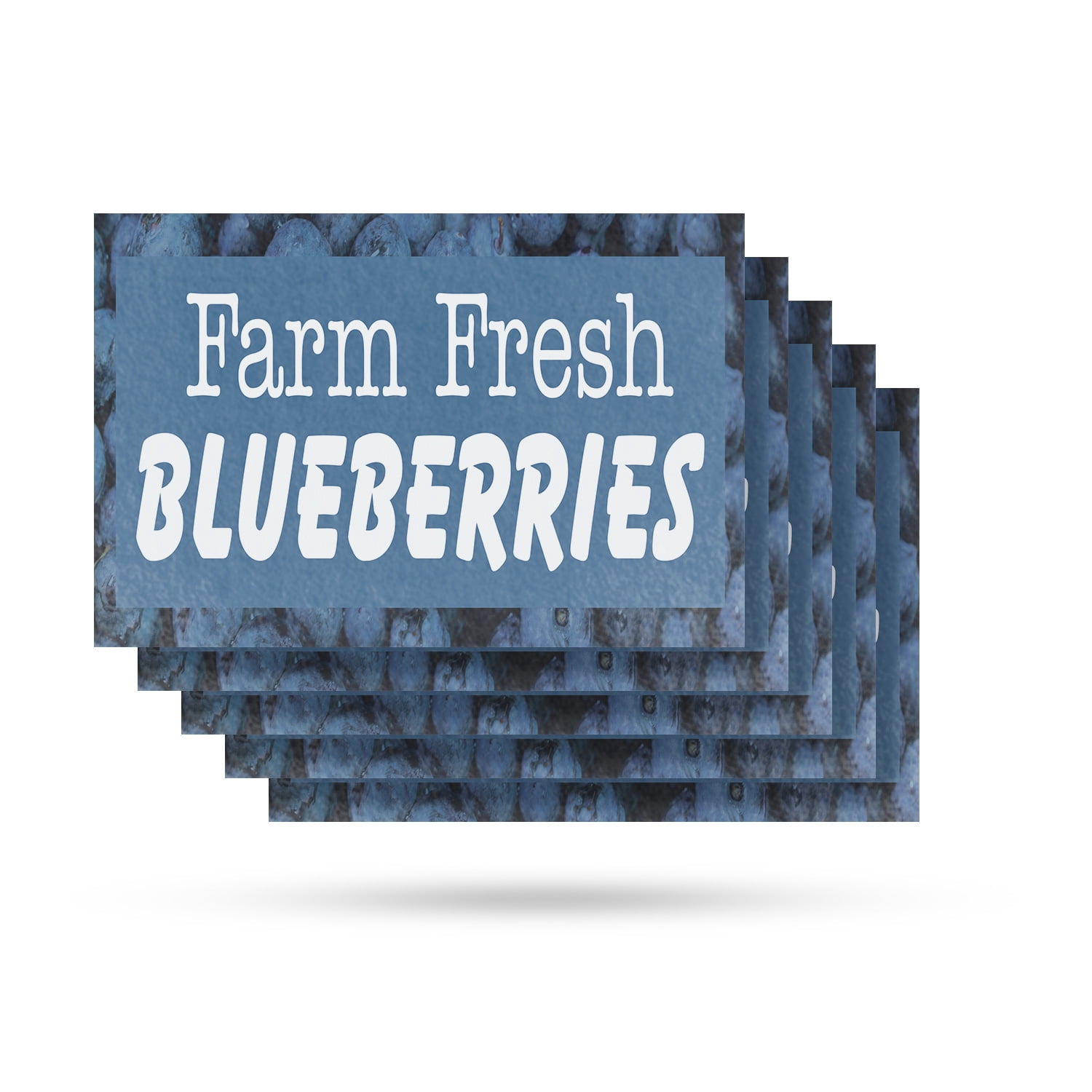 Farm Fresh Blueberries Vinyl Decal 5 Pack of 12 Inch x 16 Inch ...