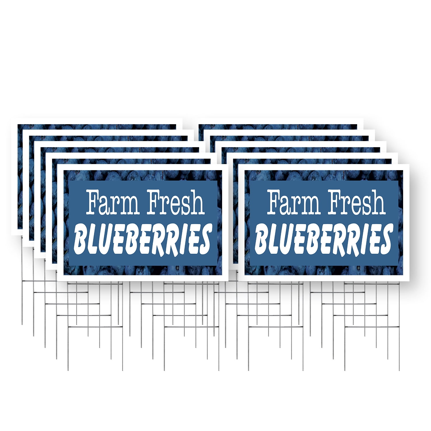 Farm Fresh Blueberries Yard Sign 10 Pack of 24 Inch x 36 Inch Double ...