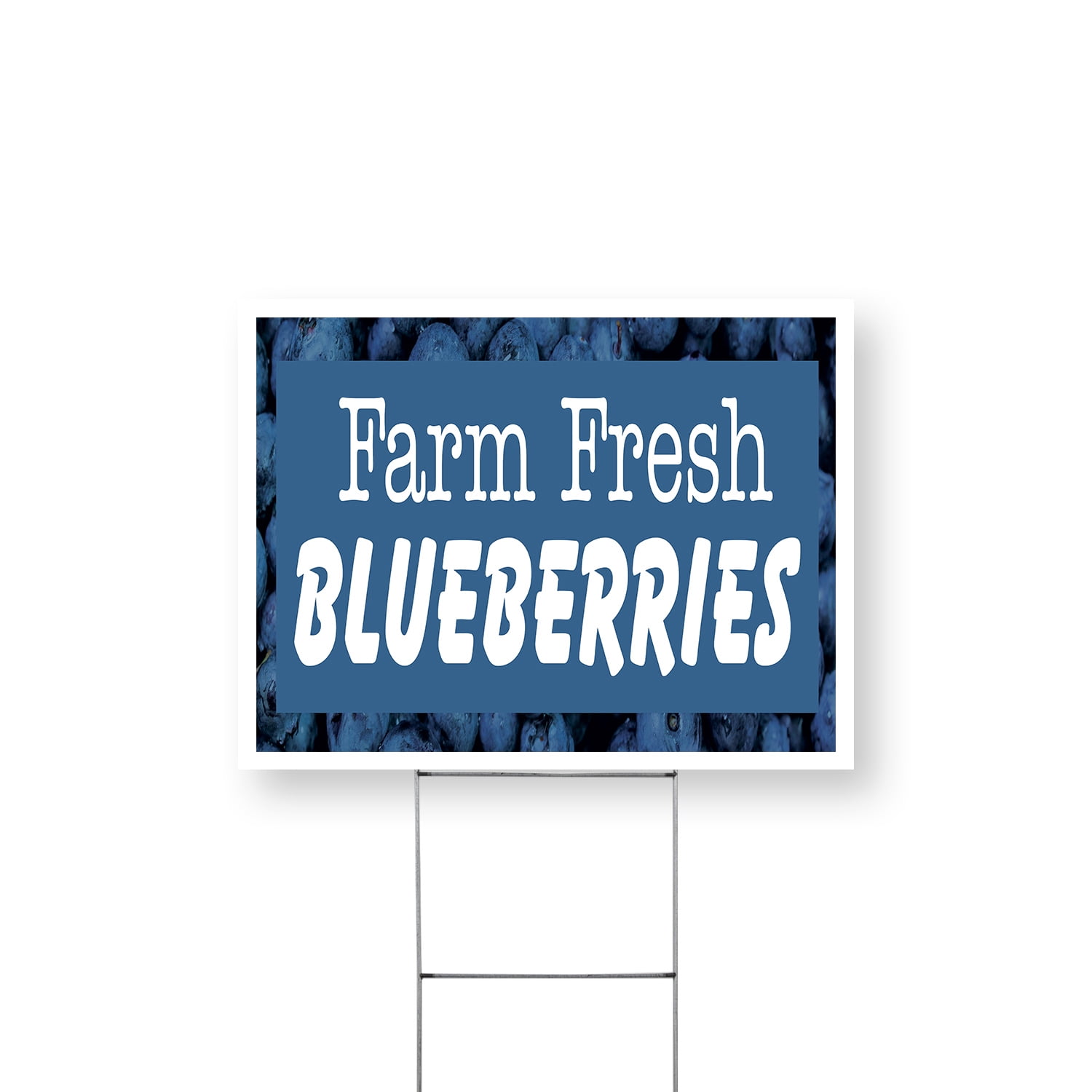 Farm Fresh Blueberries Yard Sign 18 Inch x 24 Inch Double Sided ...