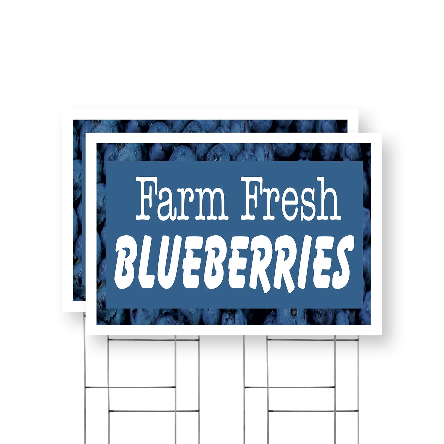 Farm Fresh Blueberries Yard Sign 2 Pack of 24 Inch x 36 Inch Single ...