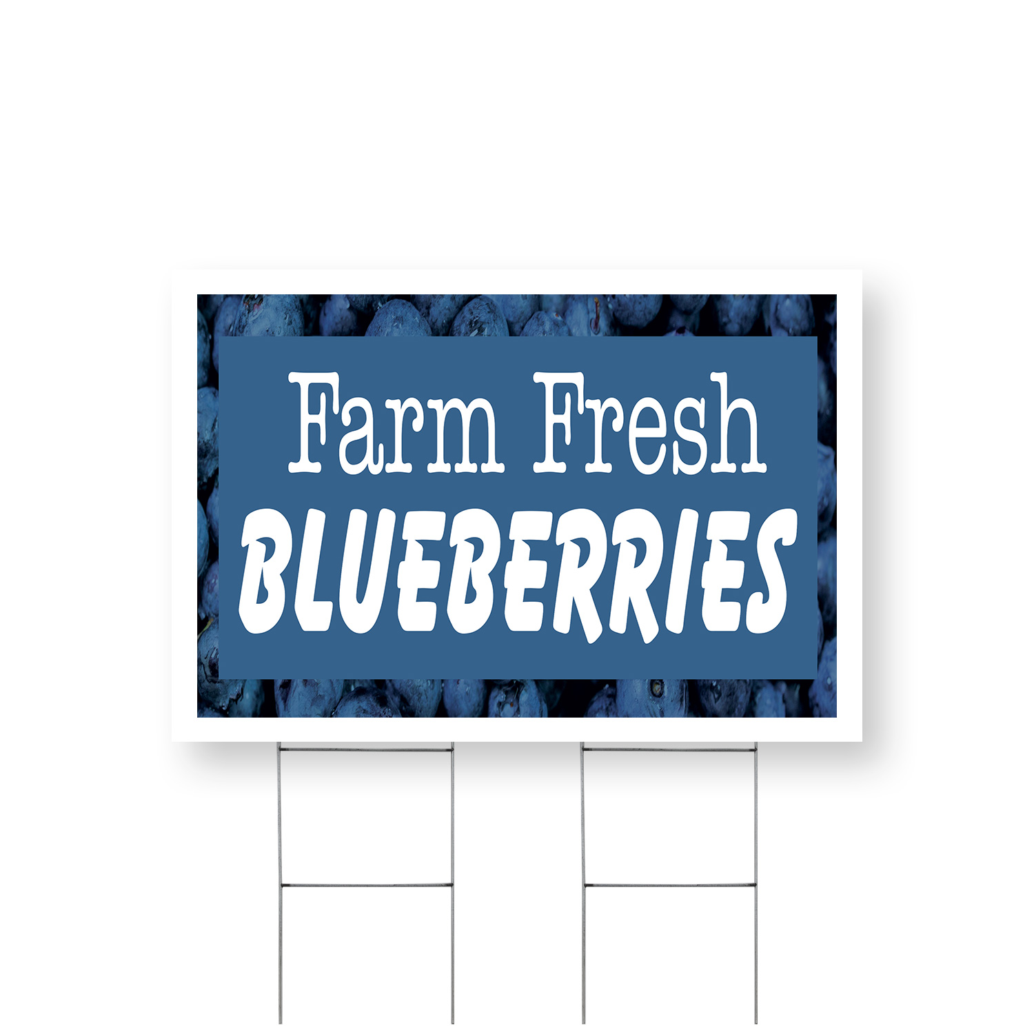 Farm Fresh Blueberries Yard Sign 24 Inch x 36 Inch Single Sided ...