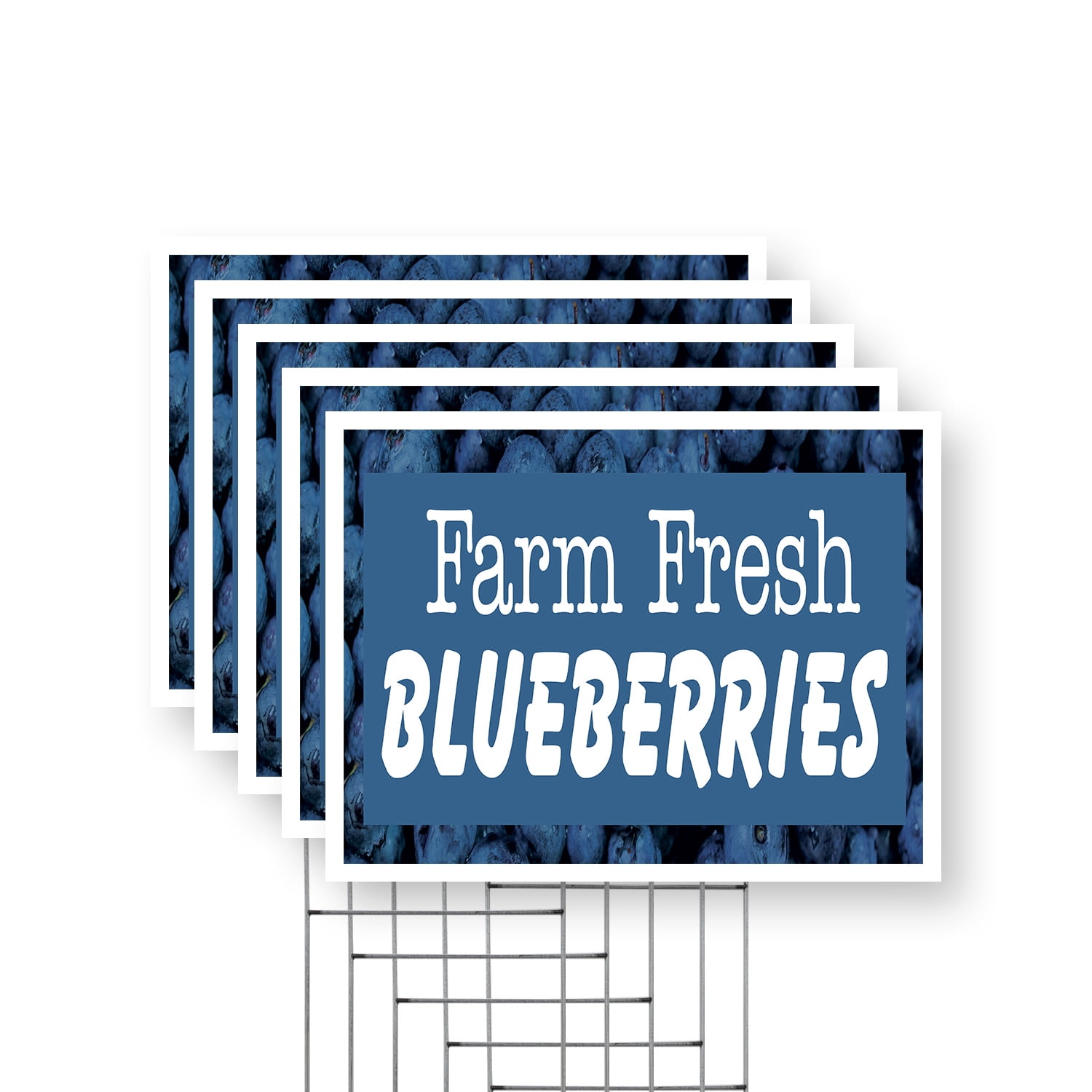 Farm Fresh Blueberries Yard Sign 5 Pack of 18 Inch x 24 Inch Double ...
