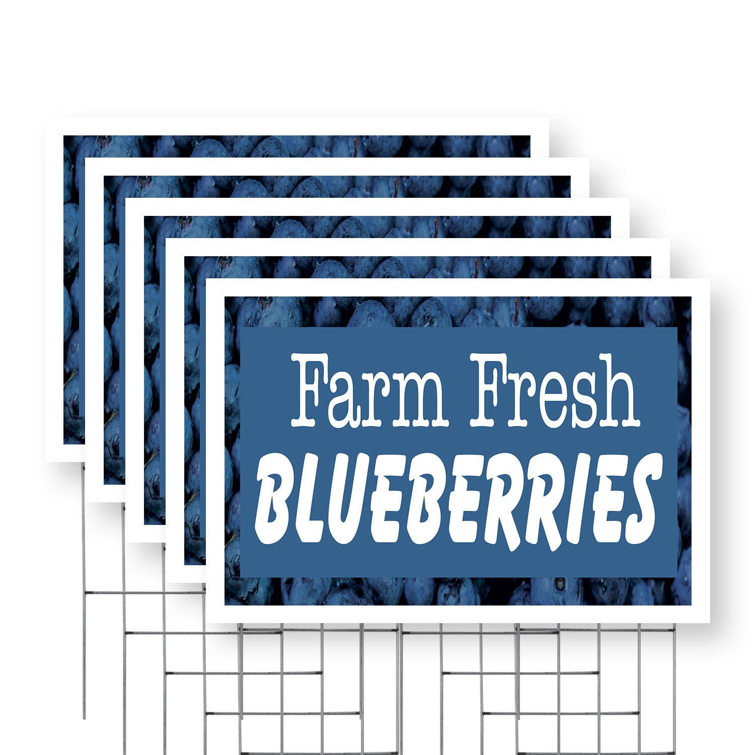 Farm Fresh Blueberries Yard Sign 5 Pack of 24 Inch x 36 Inch Double ...