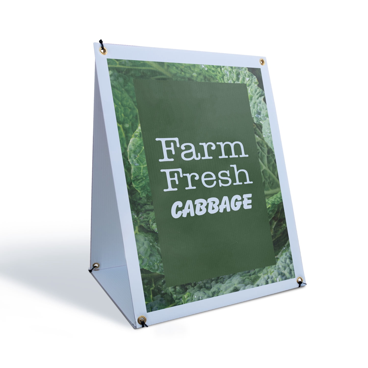 Farm Fresh Cabbage Sidewalk Sign 18 Inch x 24 Inch A-Frame Images On ...