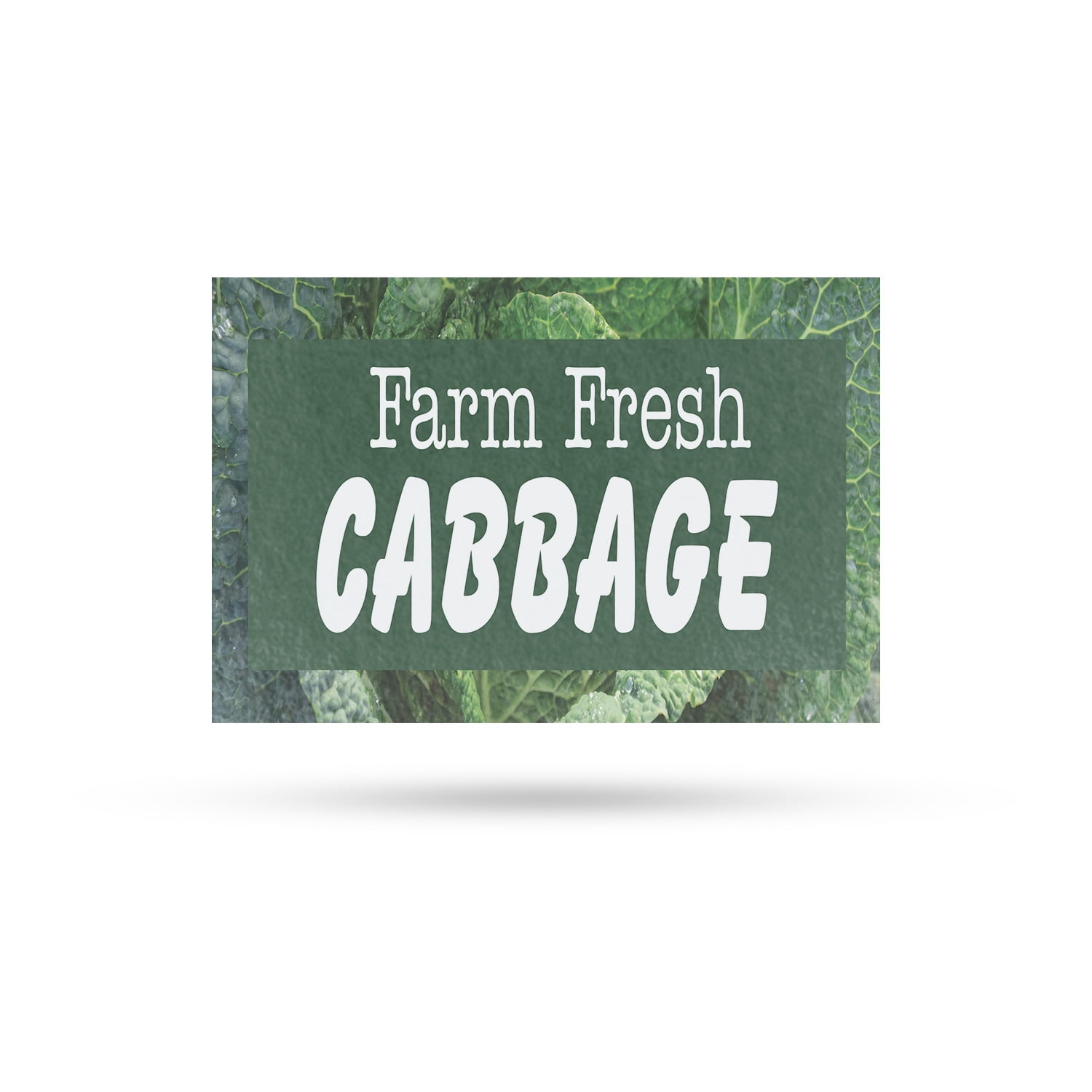Farm Fresh Cabbage Vinyl Decal 24 Inch x 36 Inch Weatherproof Heavy ...