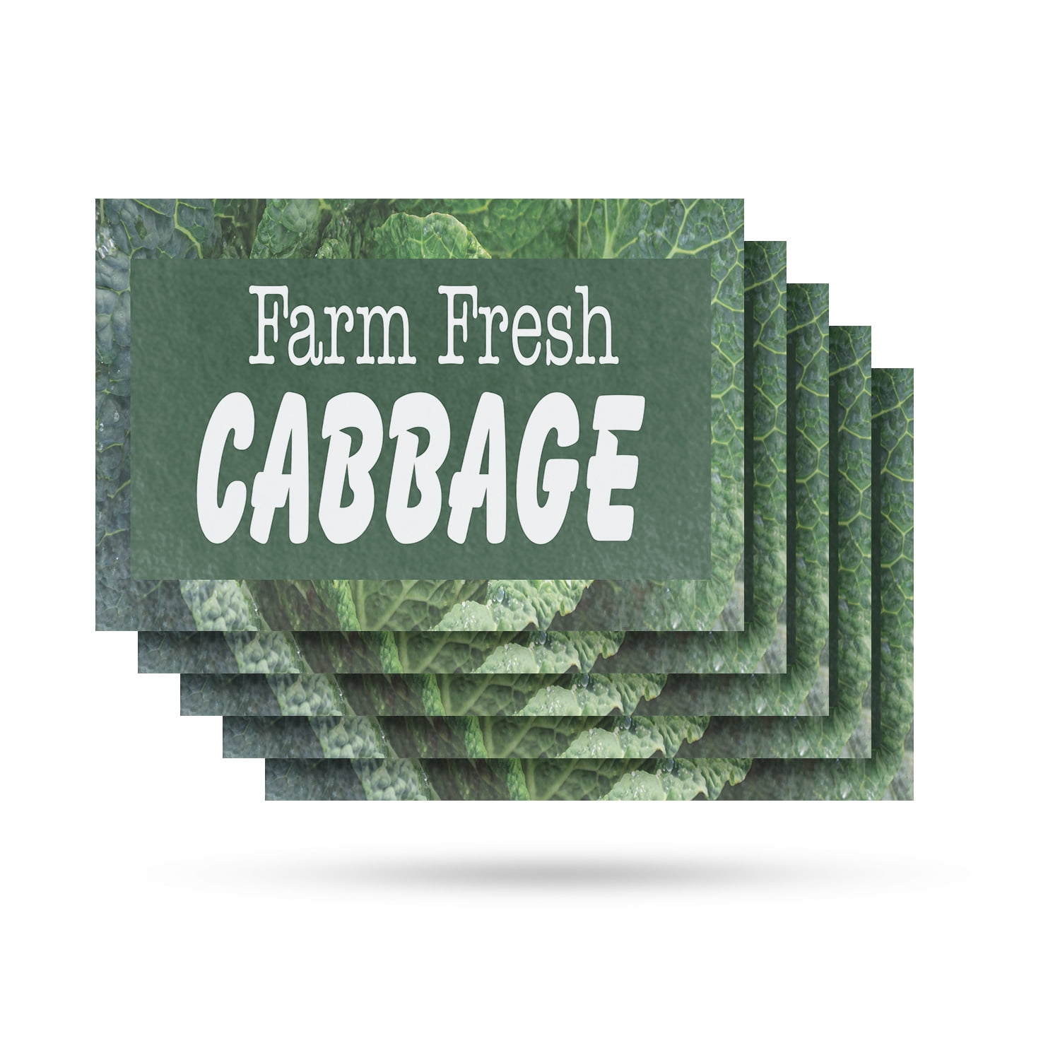Farm Fresh Cabbage Vinyl Decal 5 Pack of 24 Inch x 36 Inch Weatherproof ...