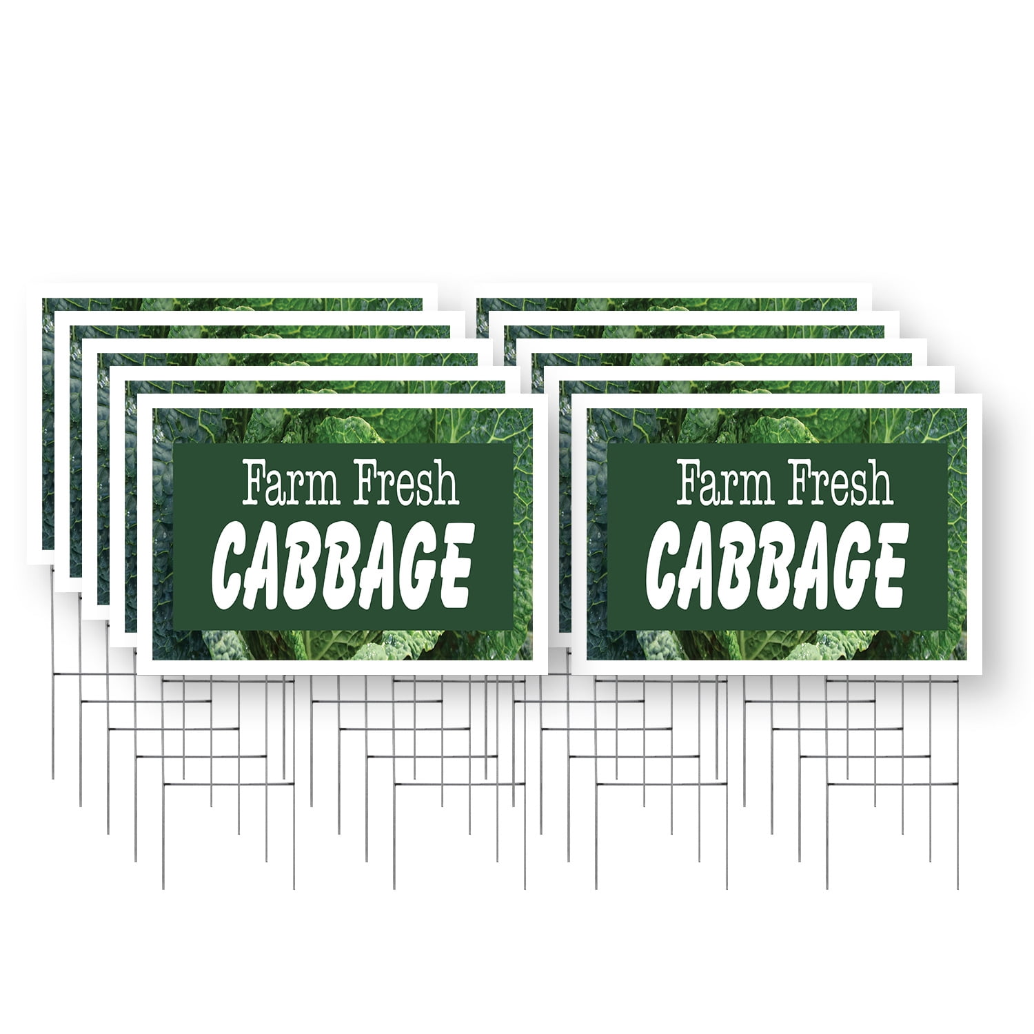 Farm Fresh Cabbage Yard Sign 10 Pack of 24 Inch x 36 Inch Single Sided ...