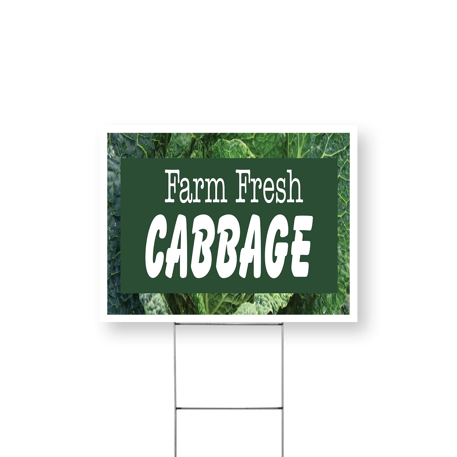 Farm Fresh Cabbage Yard Sign 18 Inch x 24 Inch Double Sided ...