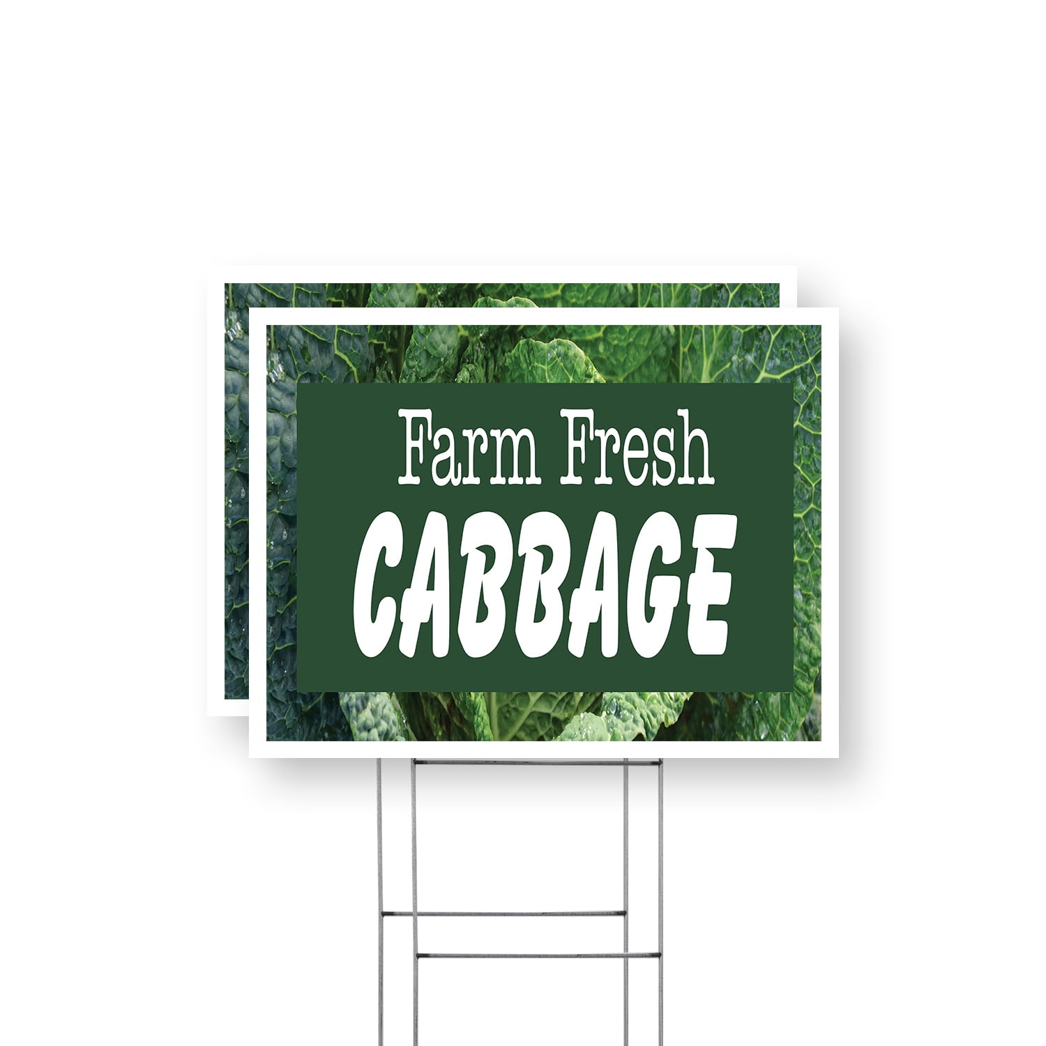 Farm Fresh Cabbage Yard Sign 2 Pack of 18 Inch x 24 Inch Single Sided ...