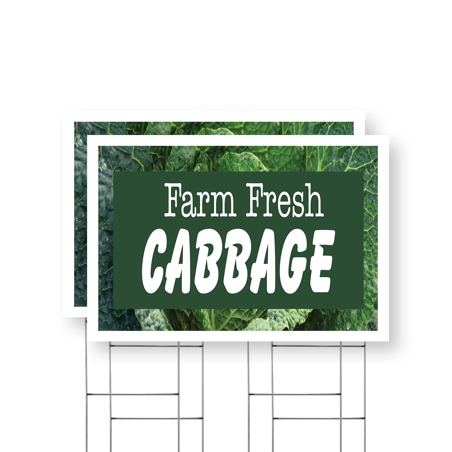 Farm Fresh Cabbage Yard Sign 2 Pack of 24 Inch x 36 Inch Single Sided ...