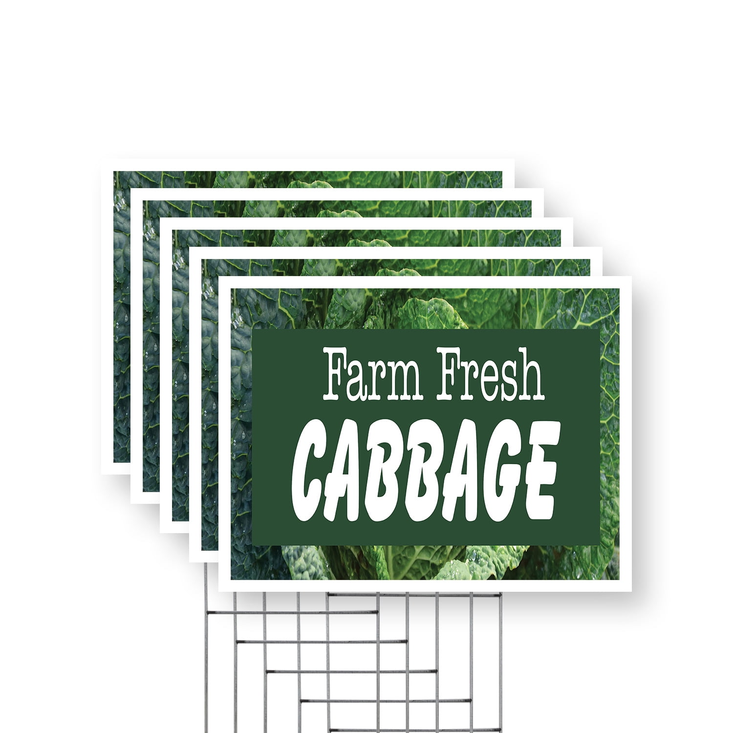 Farm Fresh Cabbage Yard Sign 5 Pack of 18 Inch x 24 Inch Single Sided ...
