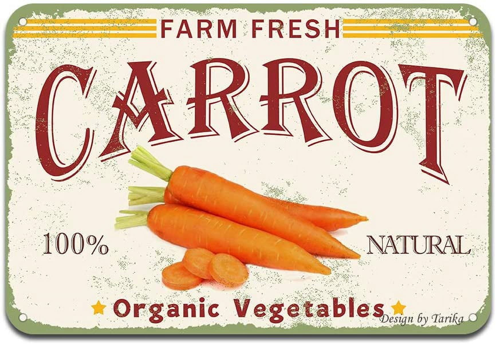 Farm Fresh Carrot 100% Nature Organic Vegetables Iron Poster Painting ...