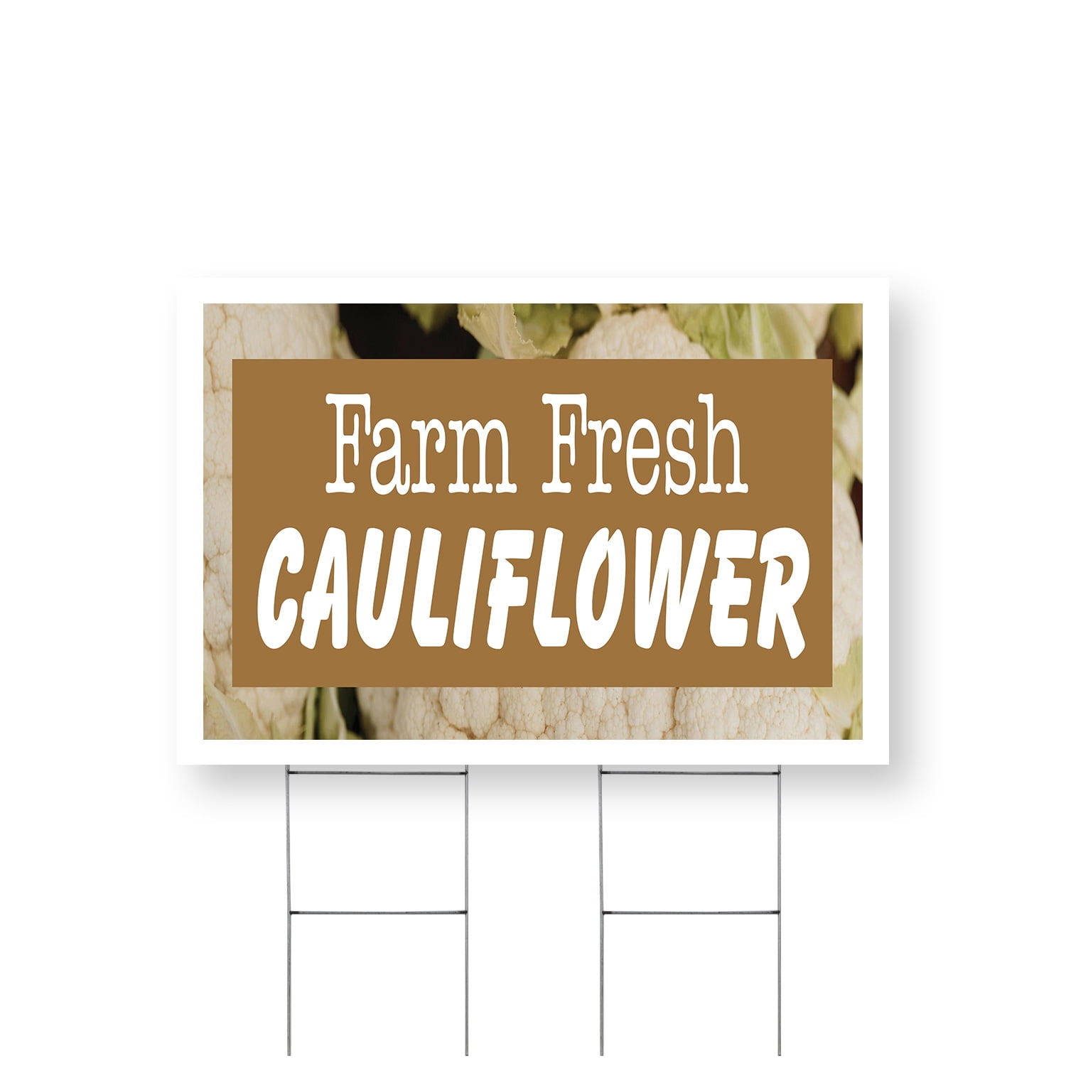 Farm Fresh Cauliflower Yard Sign 24 Inch x 36 Inch Double Sided ...