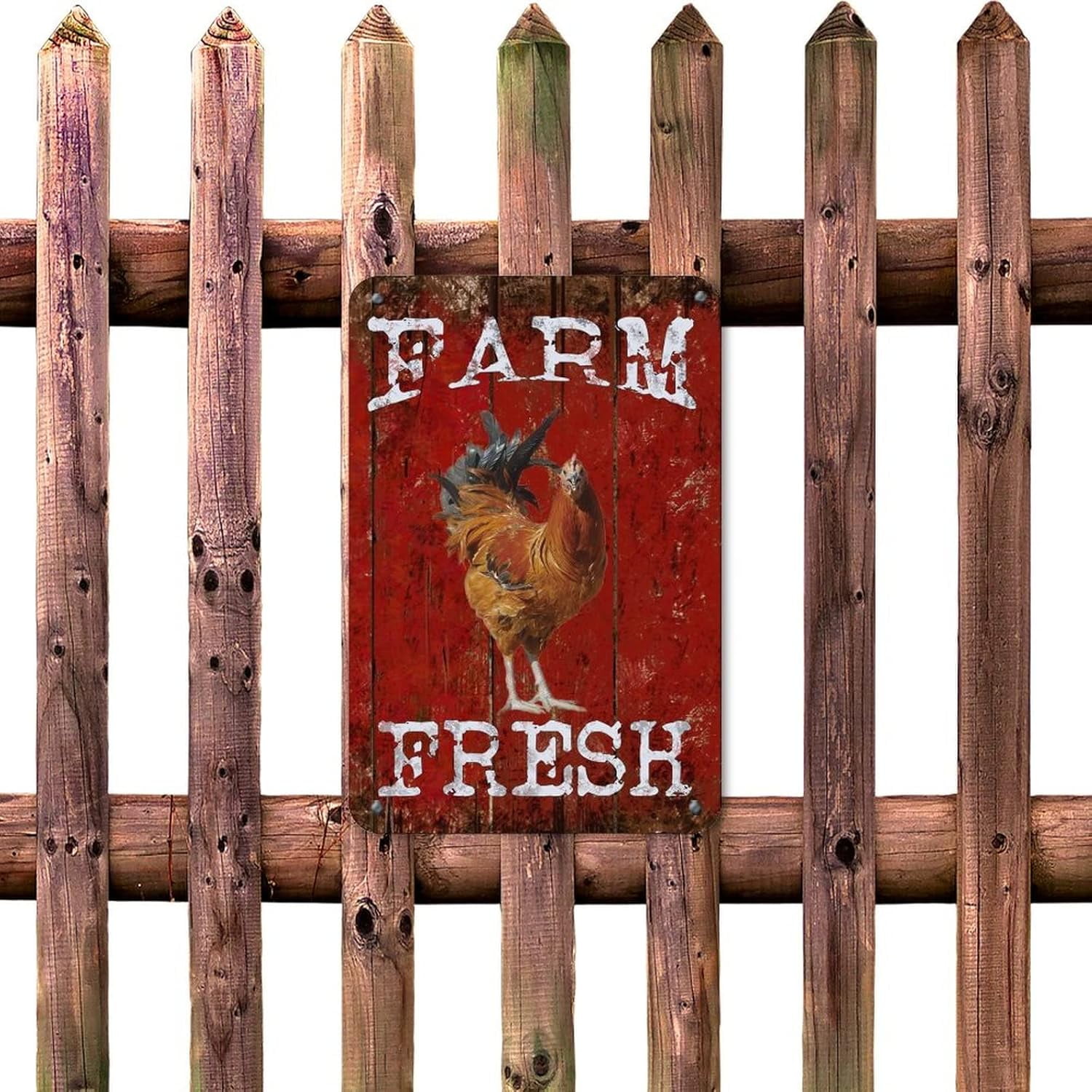 Farm Fresh Chicken Rooster Metal Sign Retro Metal Tin Sign Chicken Hen ...