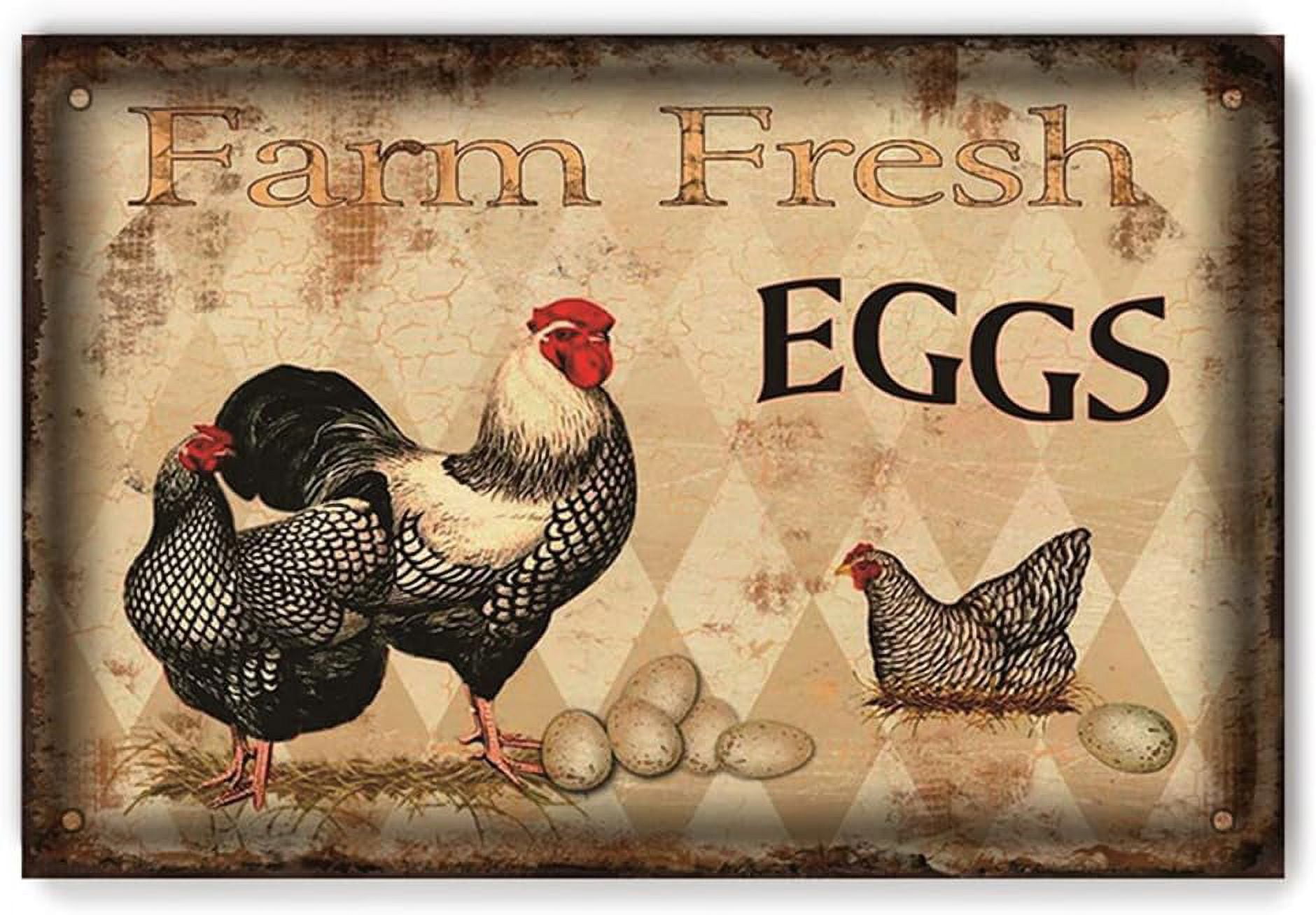 Farm Fresh Eggs Country Chicken Hen Rooster for Pub Restaurants Cafe ...