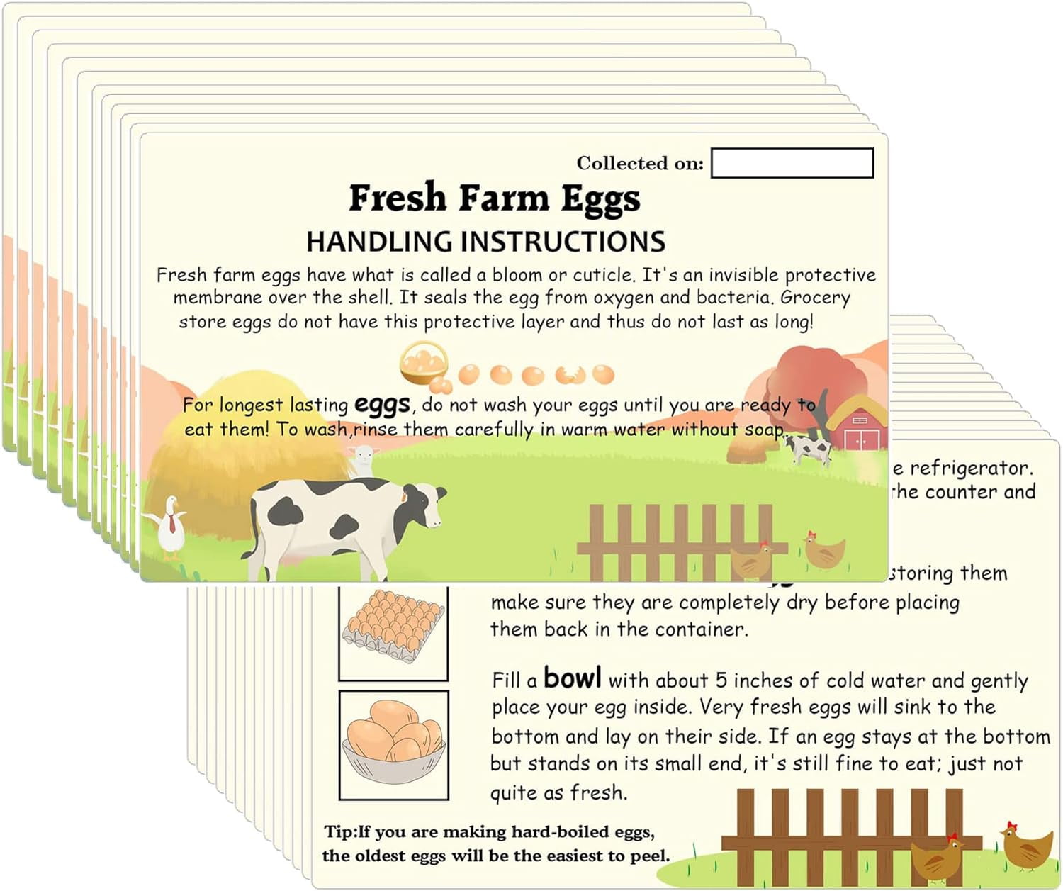 Farm Fresh Eggs Handling Instructions Care Accessories Cards 2×3.5inch ...