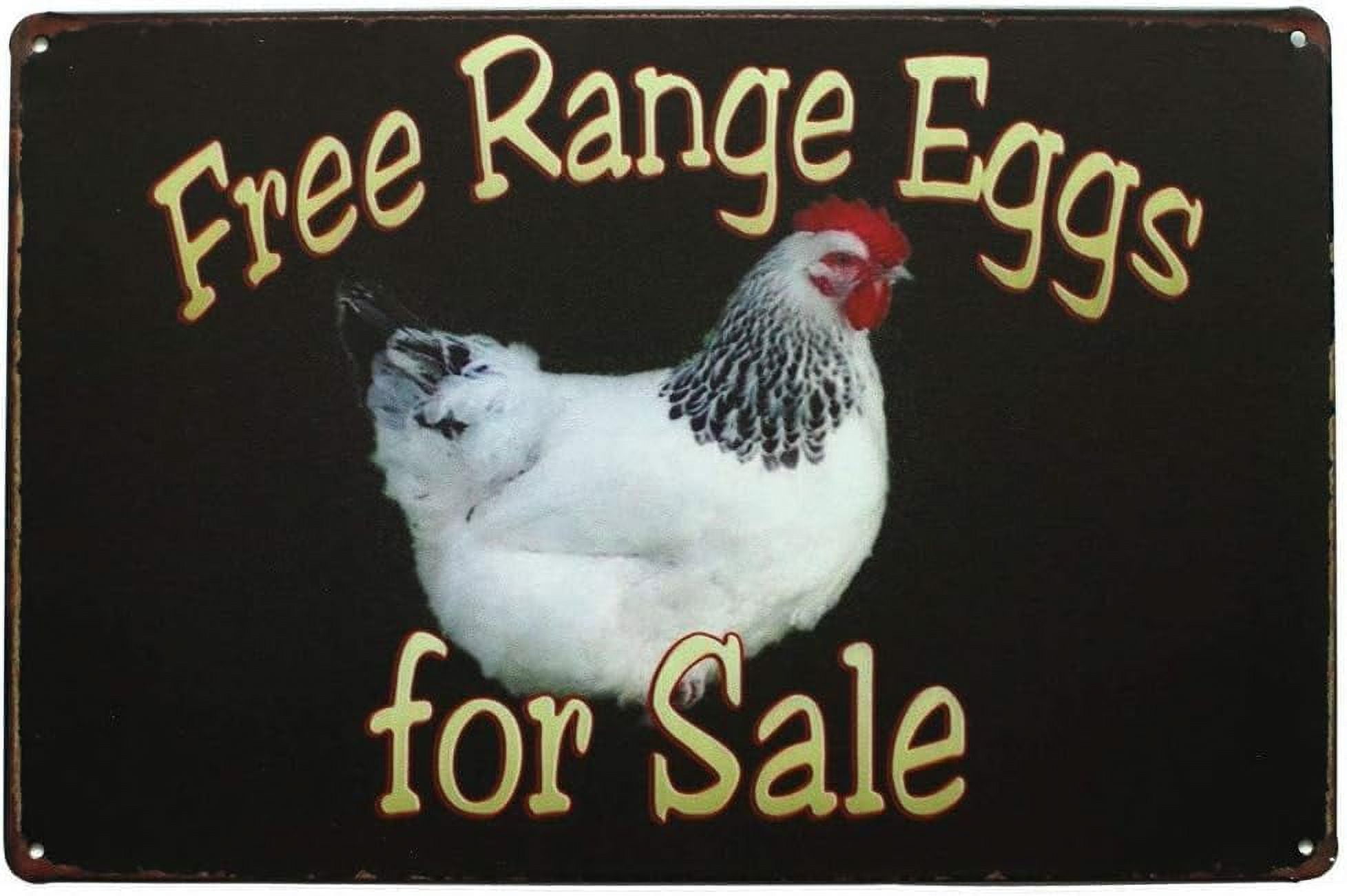 Farm Fresh Free Range Eggs for Sale-Funny Metal Signs for Outdoor Farm ...