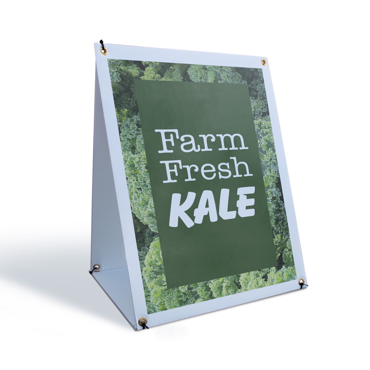 Farm Fresh Kale Sidewalk Sign 18 Inch x 24 Inch A-Frame Images On Both ...