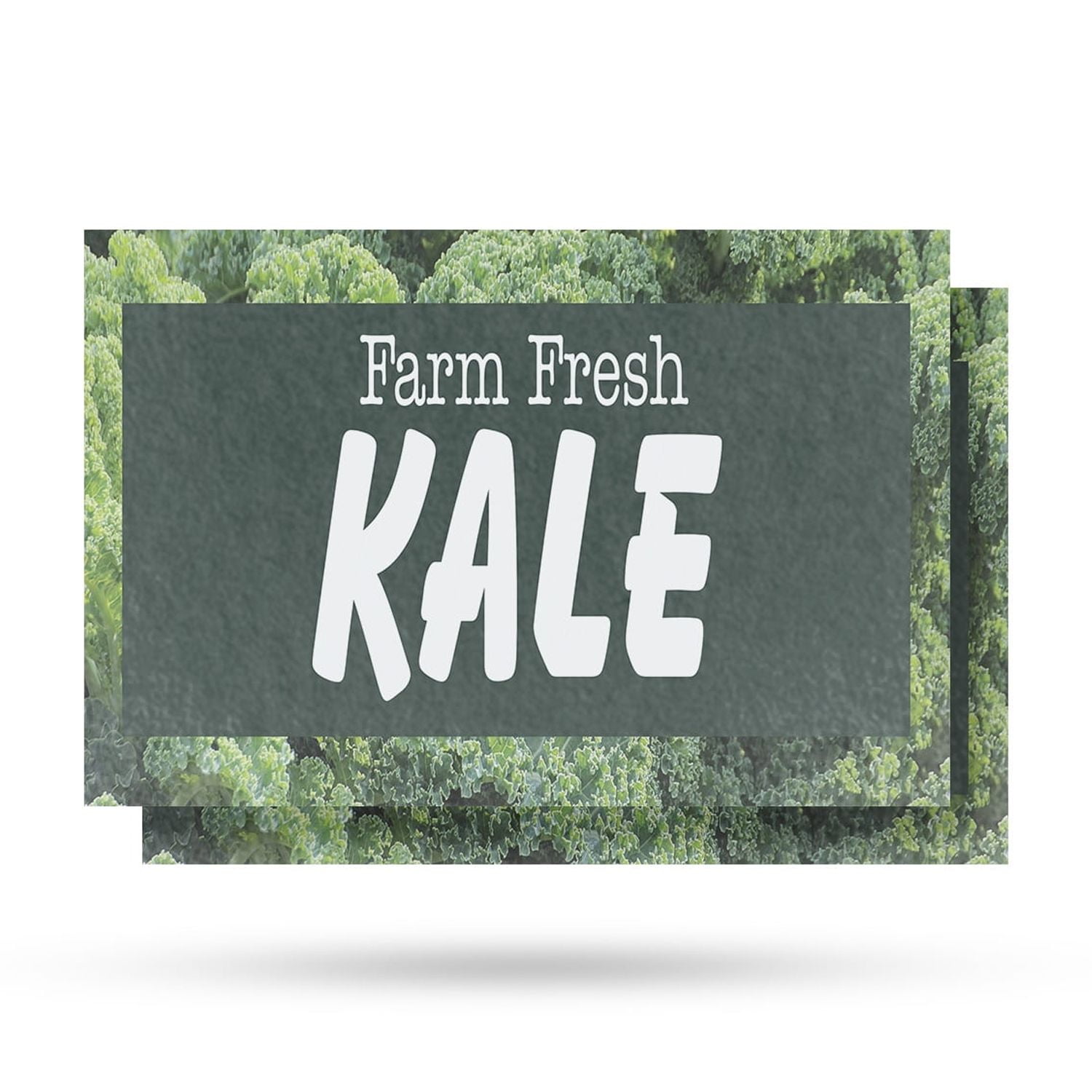 Farm Fresh Kale Vinyl Decal 2 Pack of 12 Inch x 16 Inch Weatherproof ...