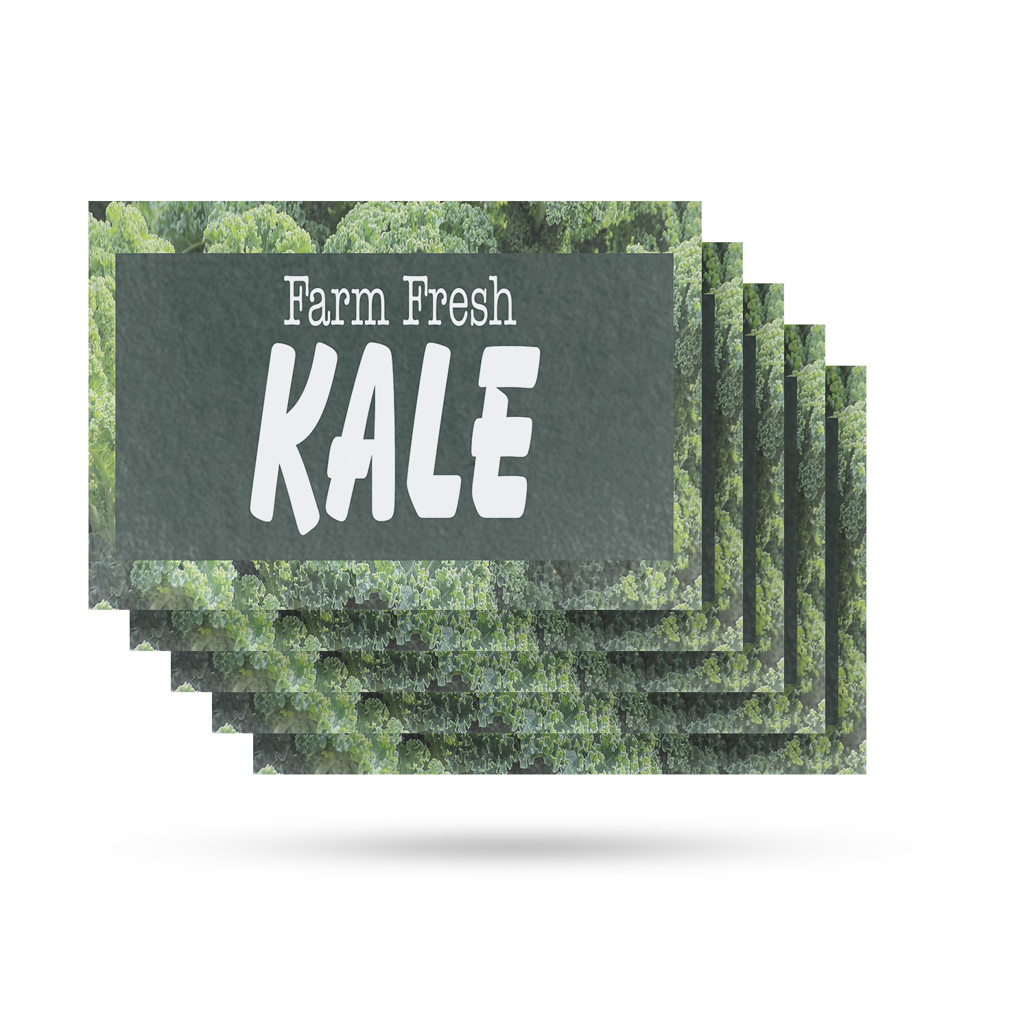 Farm Fresh Kale Vinyl Decal 5 Pack of 18 Inch x 24 Inch Weatherproof ...