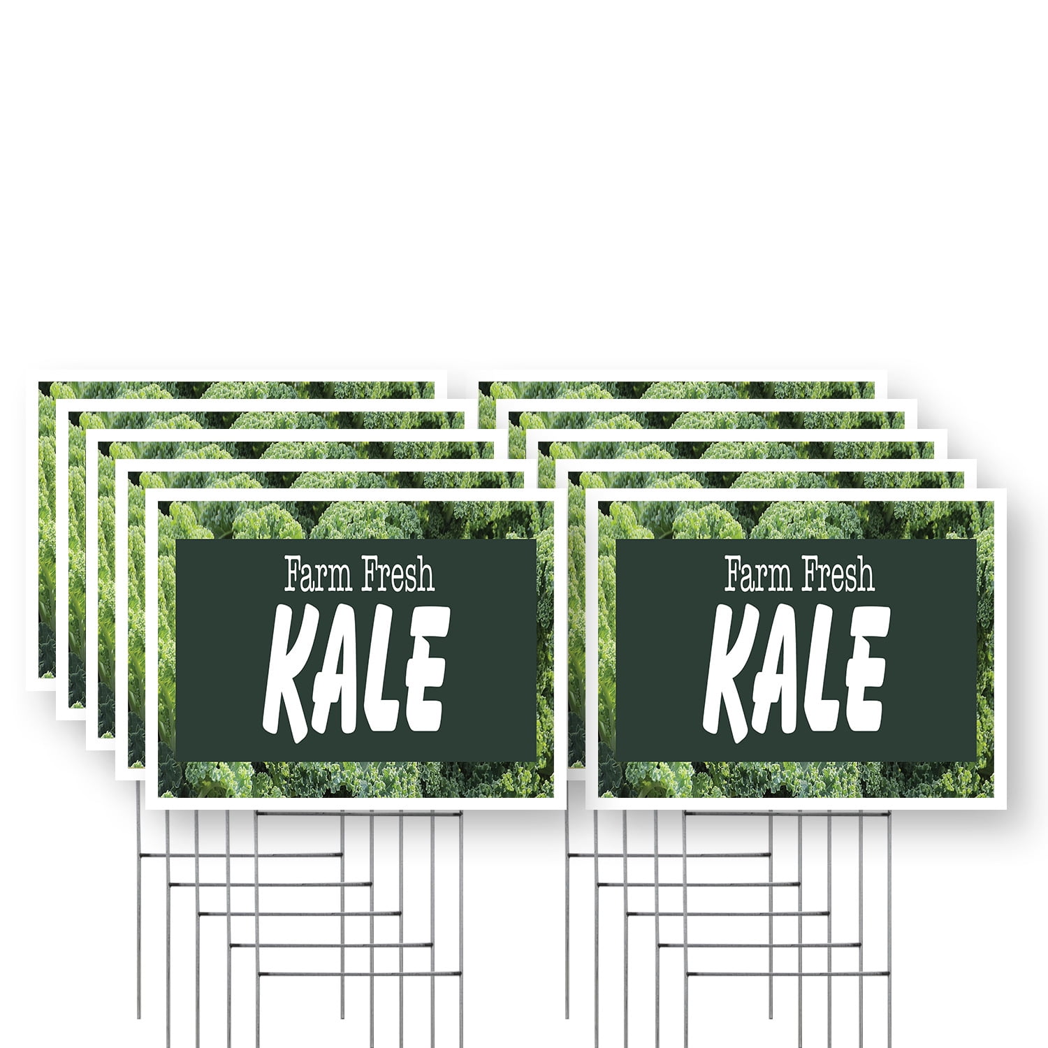 Farm Fresh Kale Yard Sign 10 Pack of 12 Inch x 16 Inch Single Sided ...
