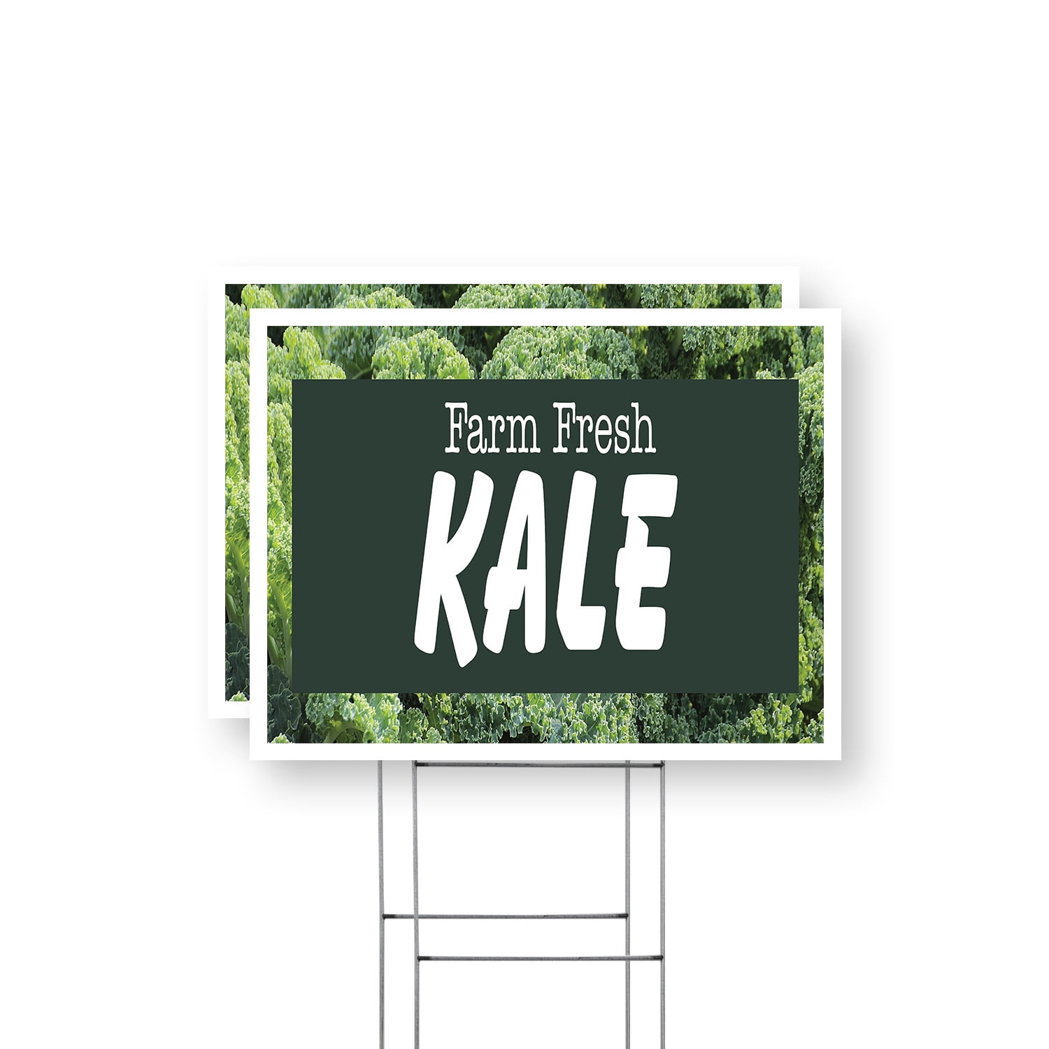 Farm Fresh Kale Yard Sign 2 Pack of 12 Inch x 16 Inch Double Sided ...