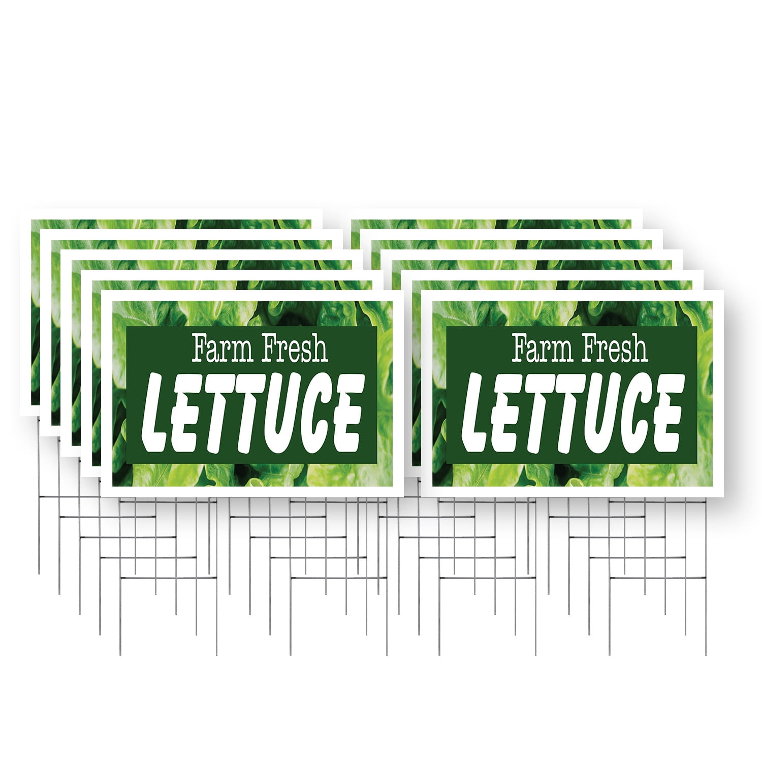 Farm Fresh Lettuce Yard Sign 10 Pack of 24 Inch x 36 Inch Single Sided ...
