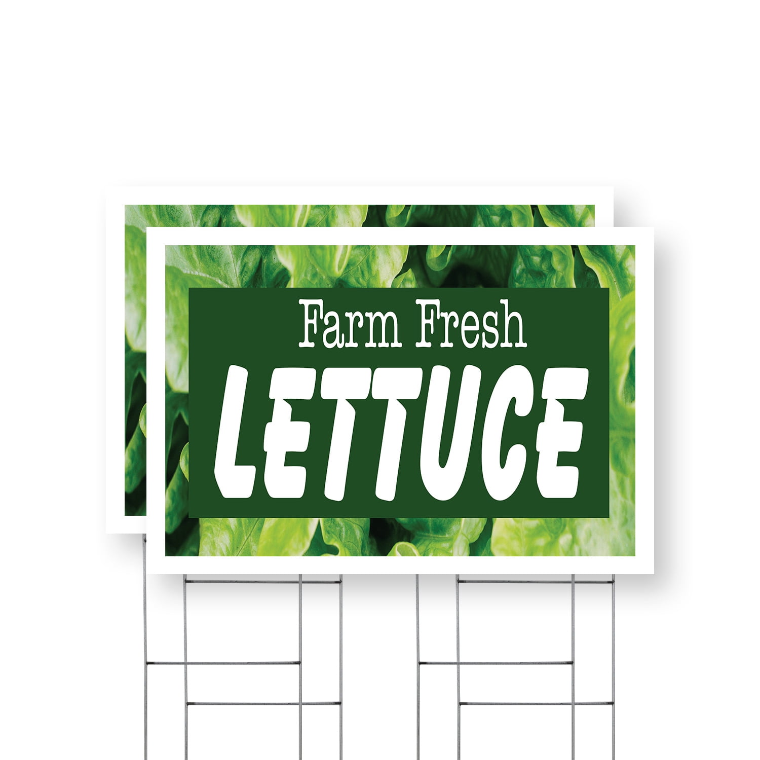 Farm Fresh Lettuce Yard Sign 2 Pack of 24 Inch x 36 Inch Double Sided ...