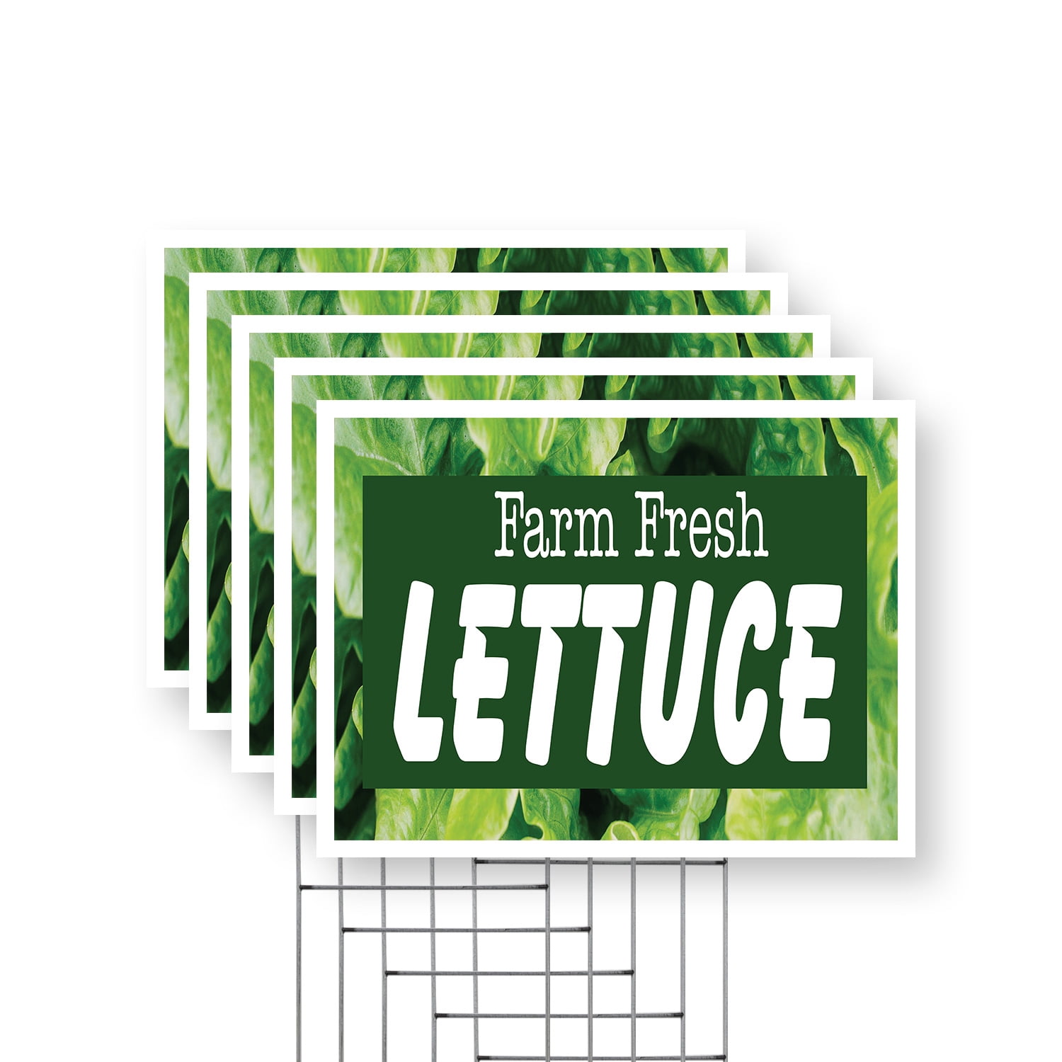 Farm Fresh Lettuce Yard Sign 5 Pack of 12 Inch x 16 Inch Double Sided ...
