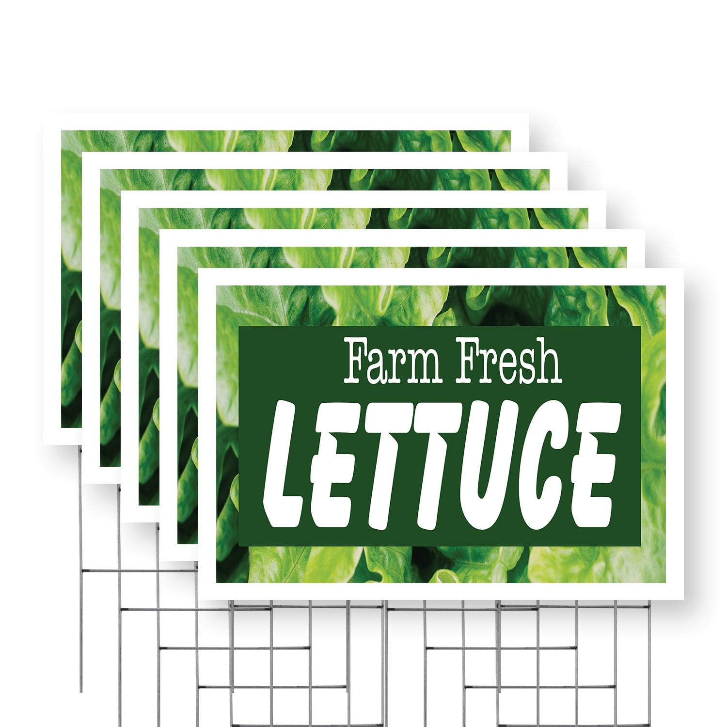 Farm Fresh Lettuce Yard Sign 5 Pack of 24 Inch x 36 Inch Single Sided ...