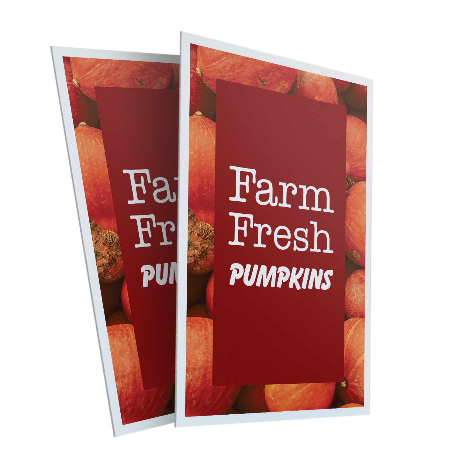 Farm Fresh Pumpkins (2-Pack) 24 Inch x 36 Inch Plastic Signs | Sign ...